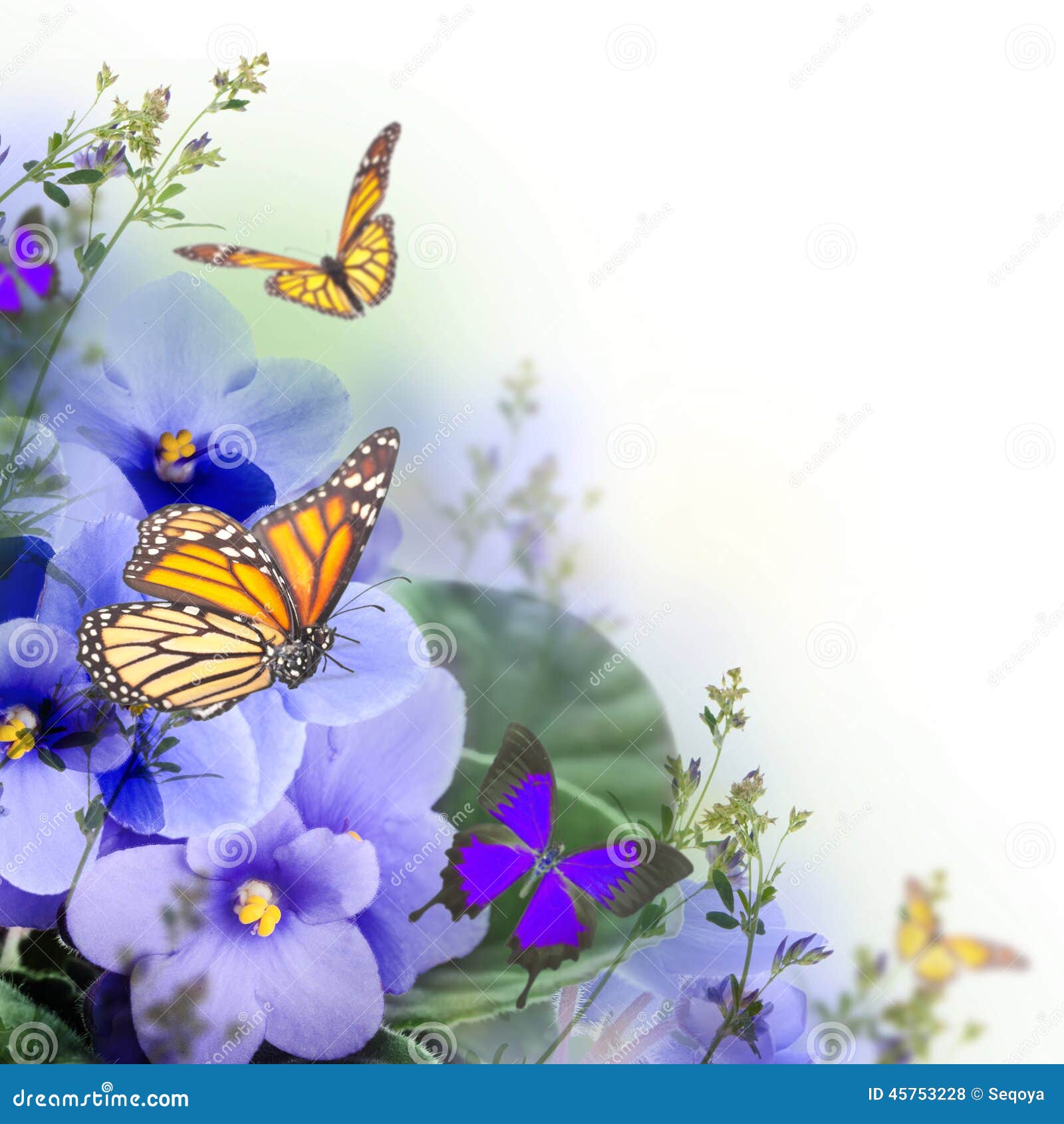 Amazing Bouquet of Spring Violets Stock Photo - Image of viola, spring ...