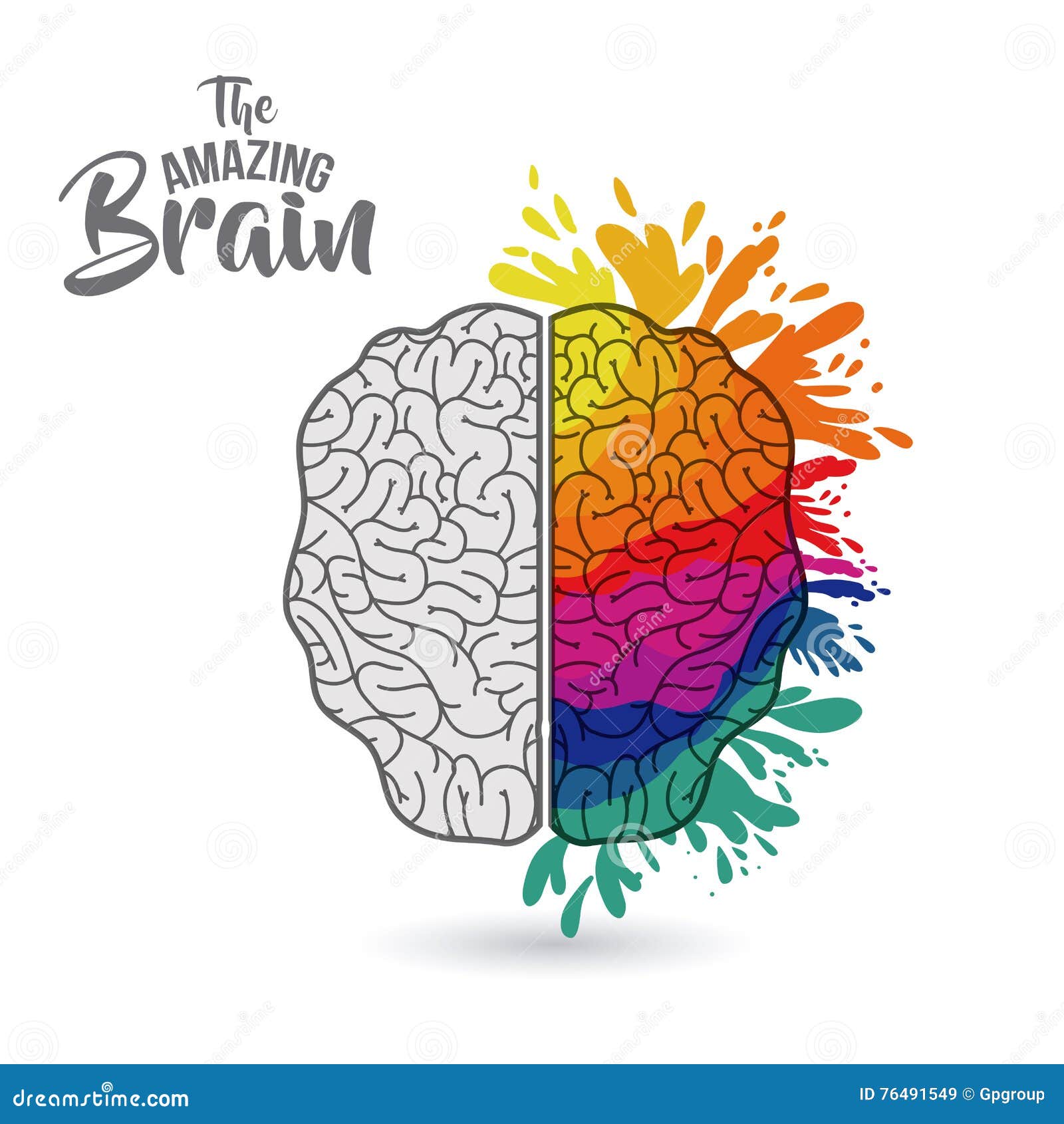 The amazing brain stock vector. Illustration of graphic - 76491549