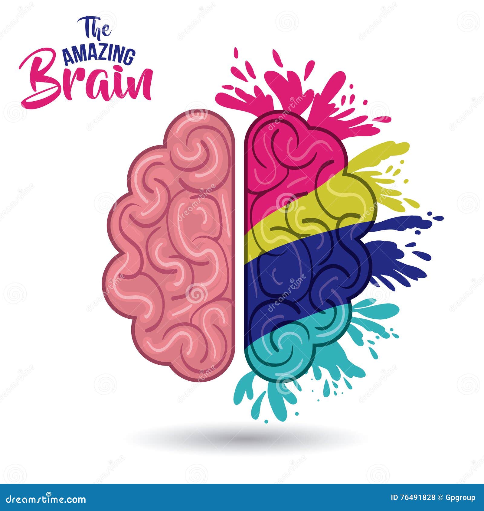 The amazing brain stock vector. Illustration of color - 76491828