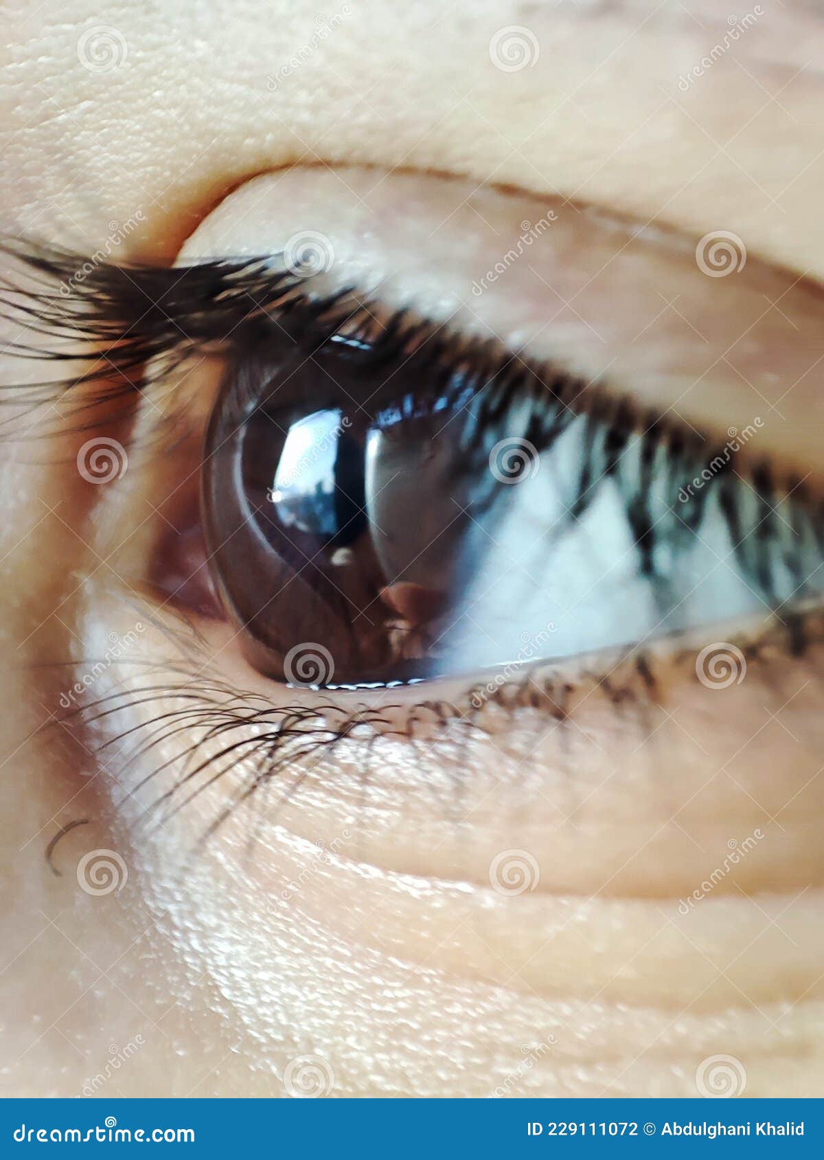 Amazing brown eye stock photo. Image of skin, glasses - 229111072