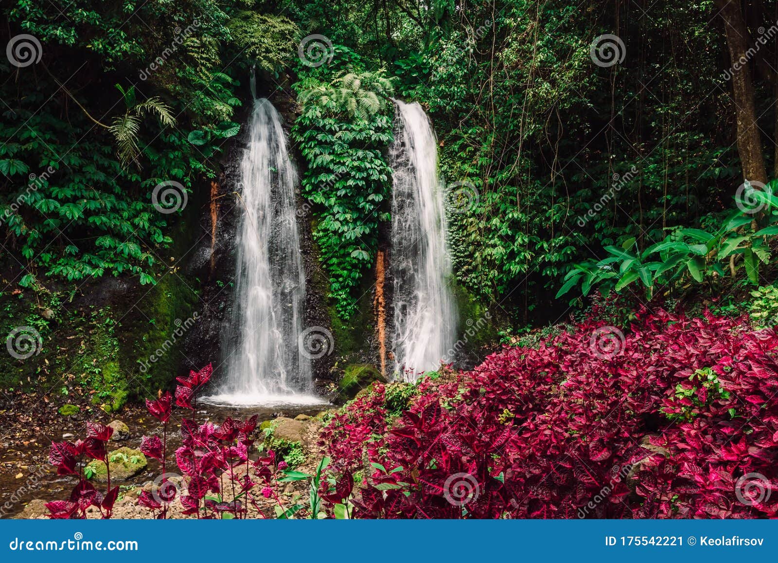 Amazing Cascade Waterfall in a Tropical Jungle at Bali Stock Image ...
