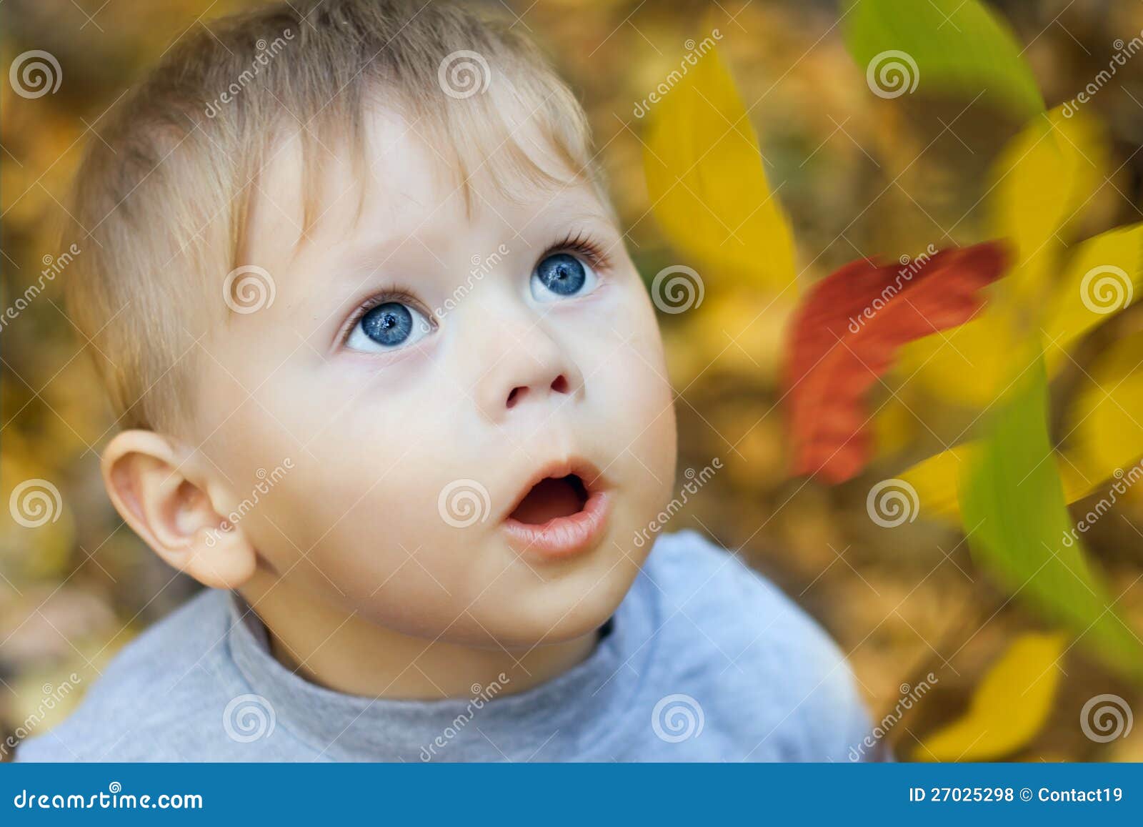 Amazing Child S Face Looking at Leaves Stock Photo - Image of seasonal ...