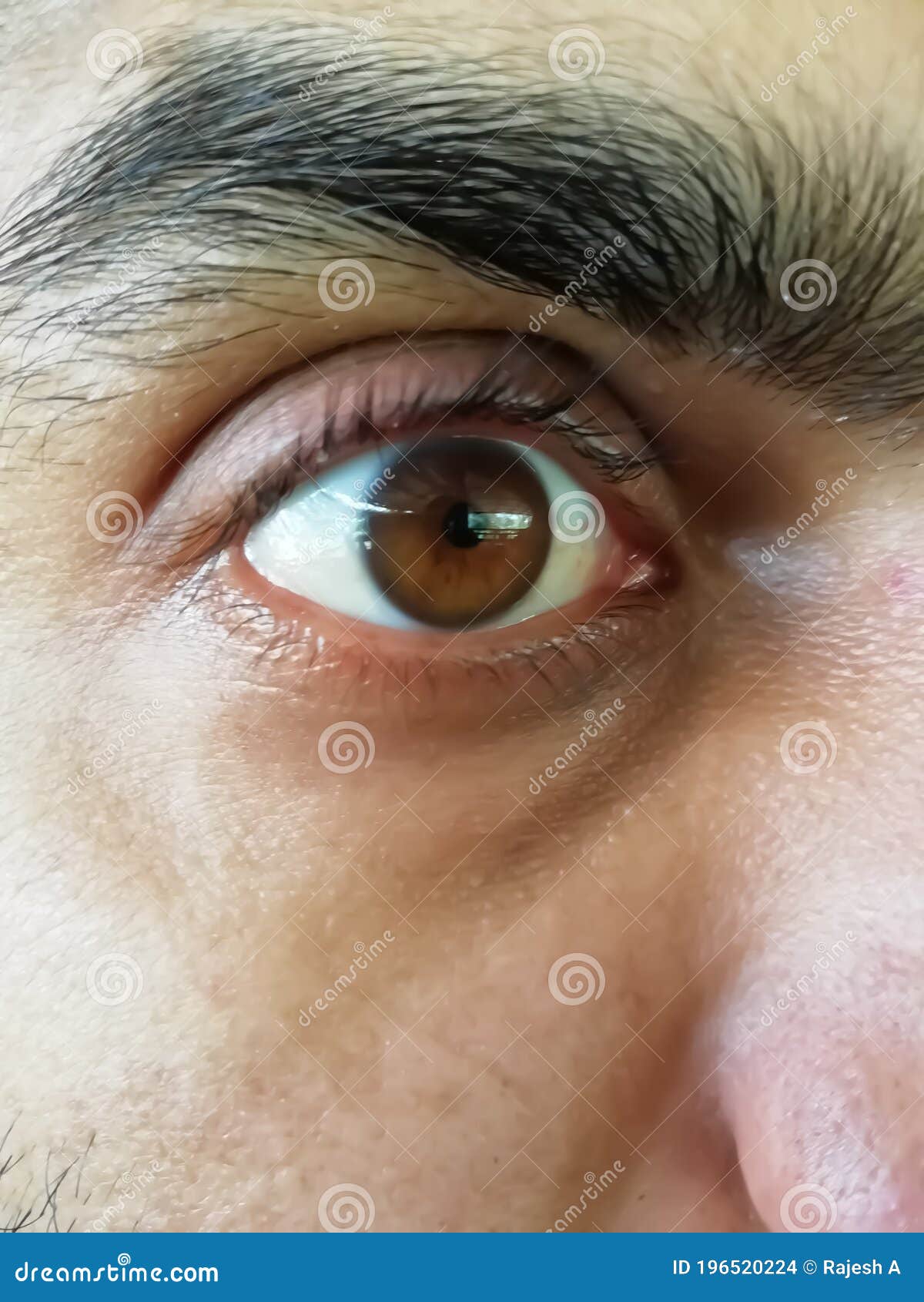 Closeup View of a Human Eye Stock Photo - Image of macro, vision: 196520224