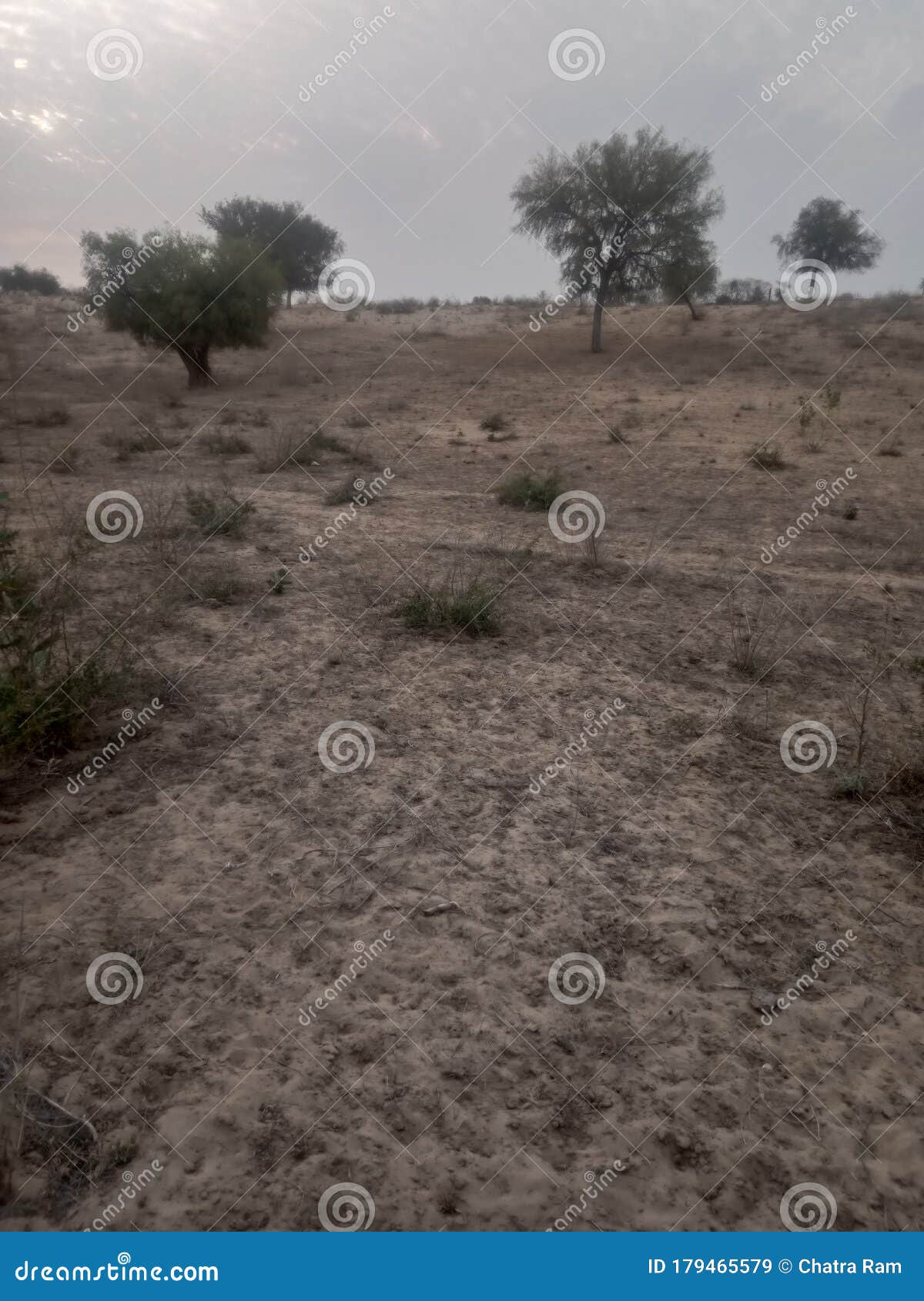 A Amazing Desert Views in Summer Season Stock Image - Image of desert ...