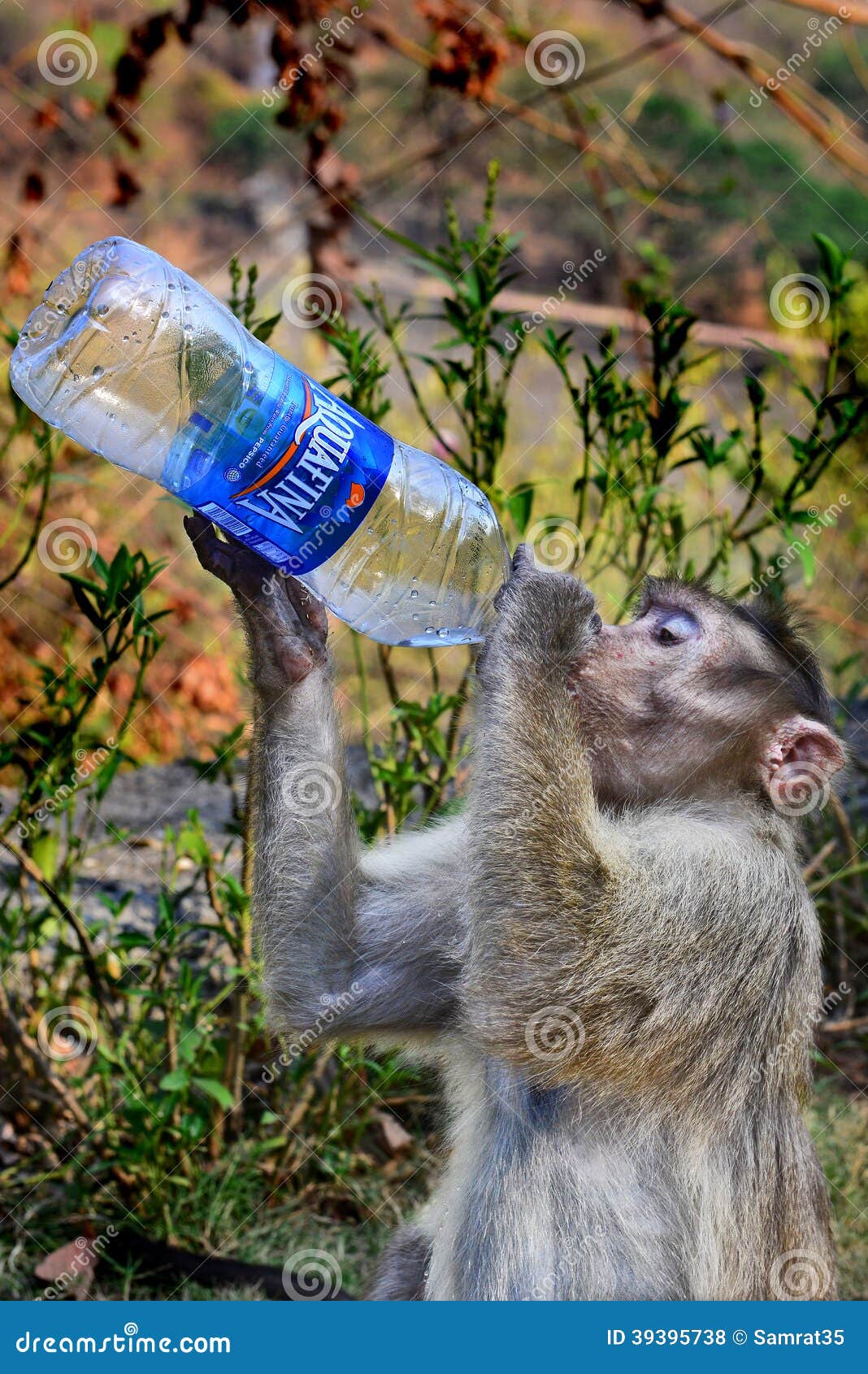 Amazing Drink Editorial Stock Photo - Image: 39395738