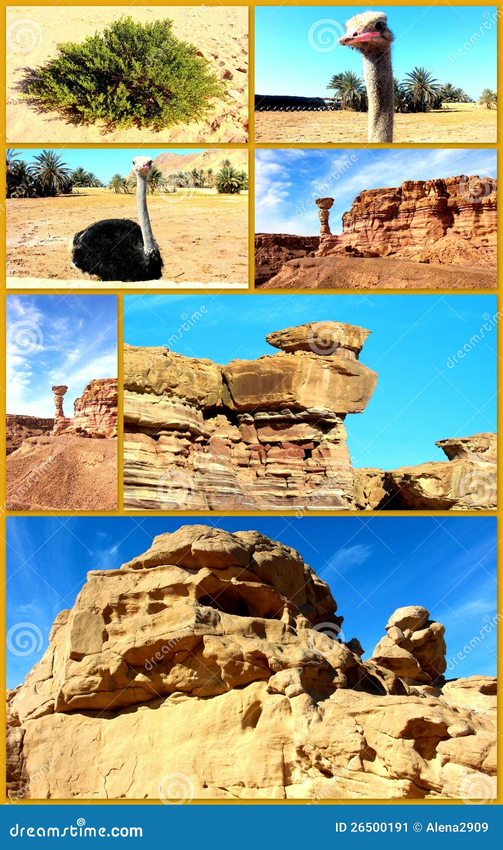 Amazing Egypt Collage Desert Photos - Free & Royalty-Free Stock Photos ...