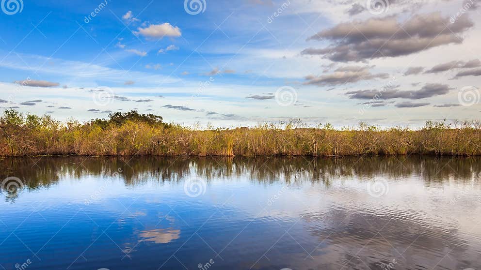 Amazing Everglades Panorama Stock Photo - Image of calm, national: 28648454