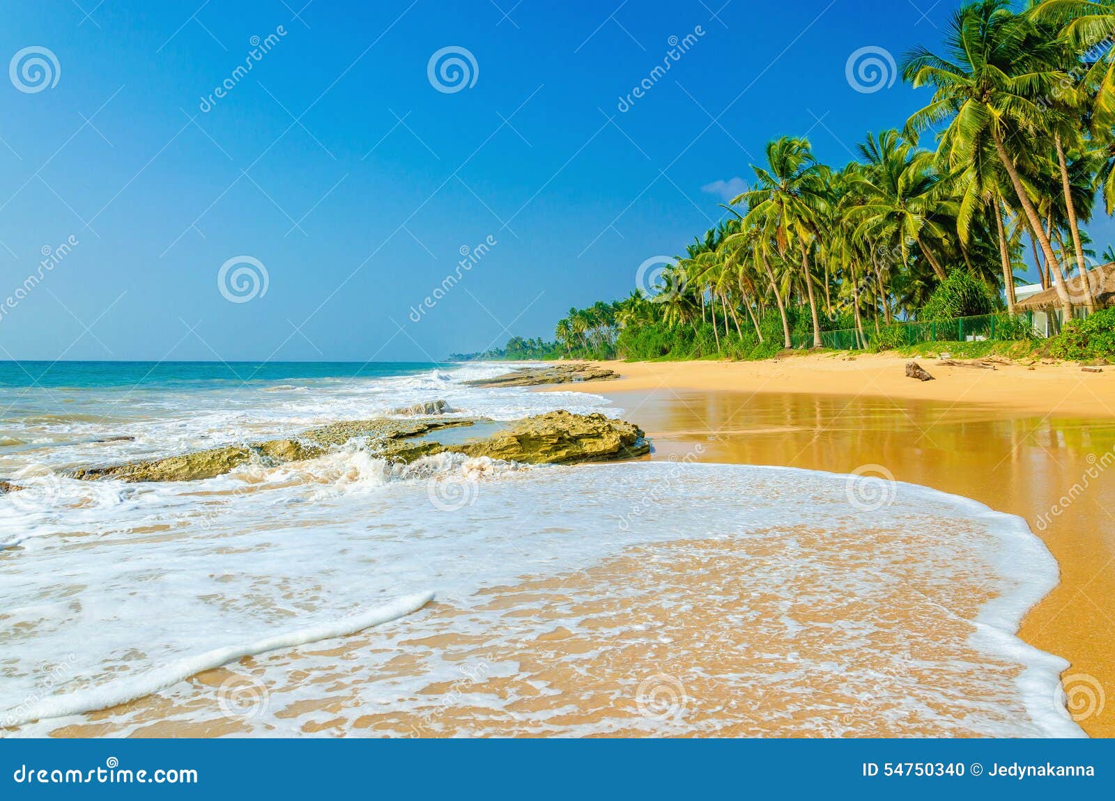 Amazing Exotic Sandy Beach Andhigh Palm Trees Stock Photo - Image of ...
