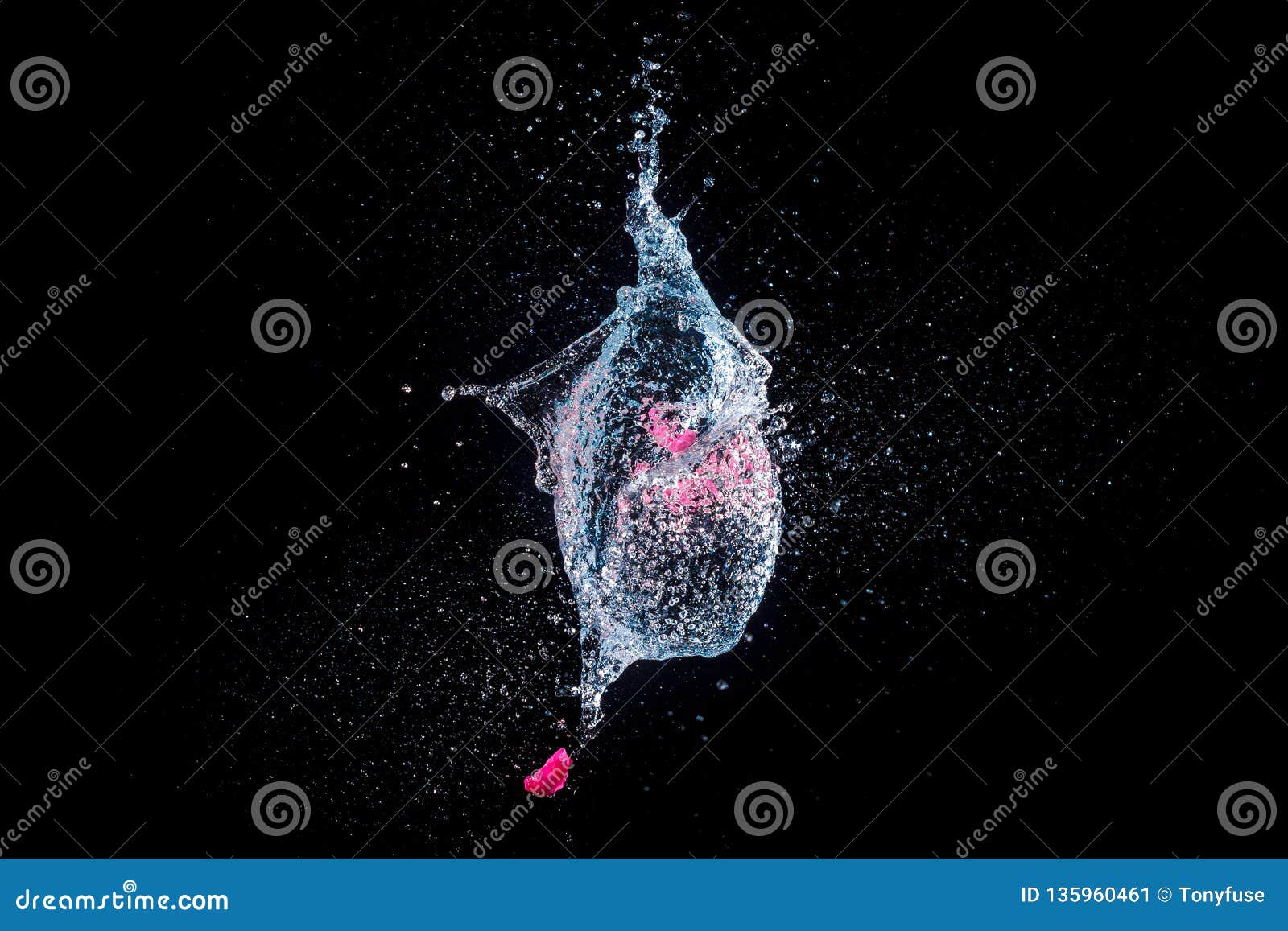 Amazing Explosion of Isolated Water Balloon Stock Image - Image of ...