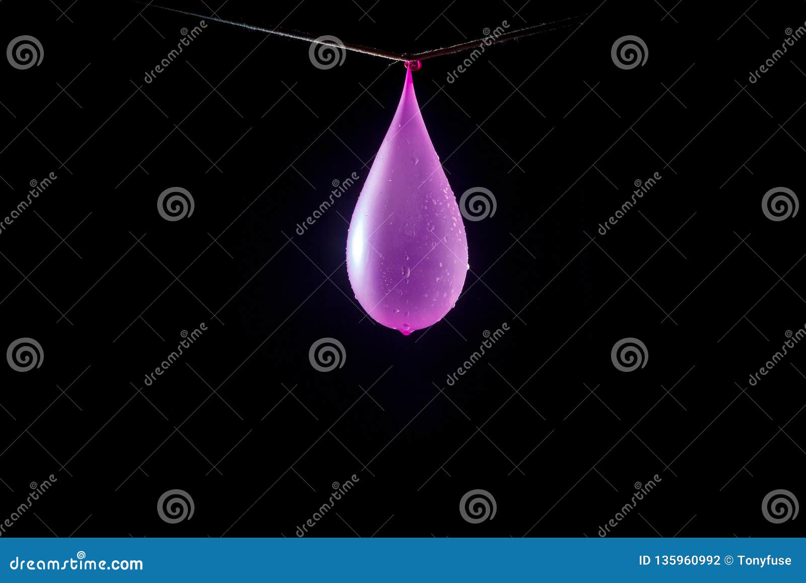 Amazing Explosion of Isolated Water Balloon Stock Photo - Image of ...