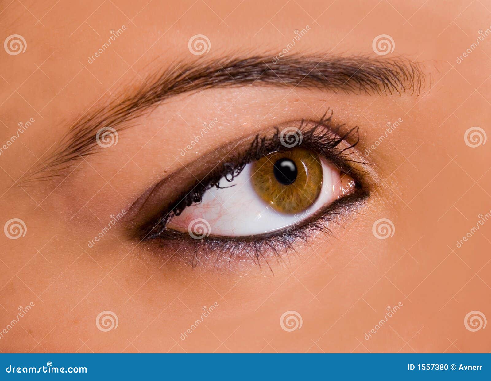 Amazing eye stock photo. Image of fashion, colorful, intense - 1557380