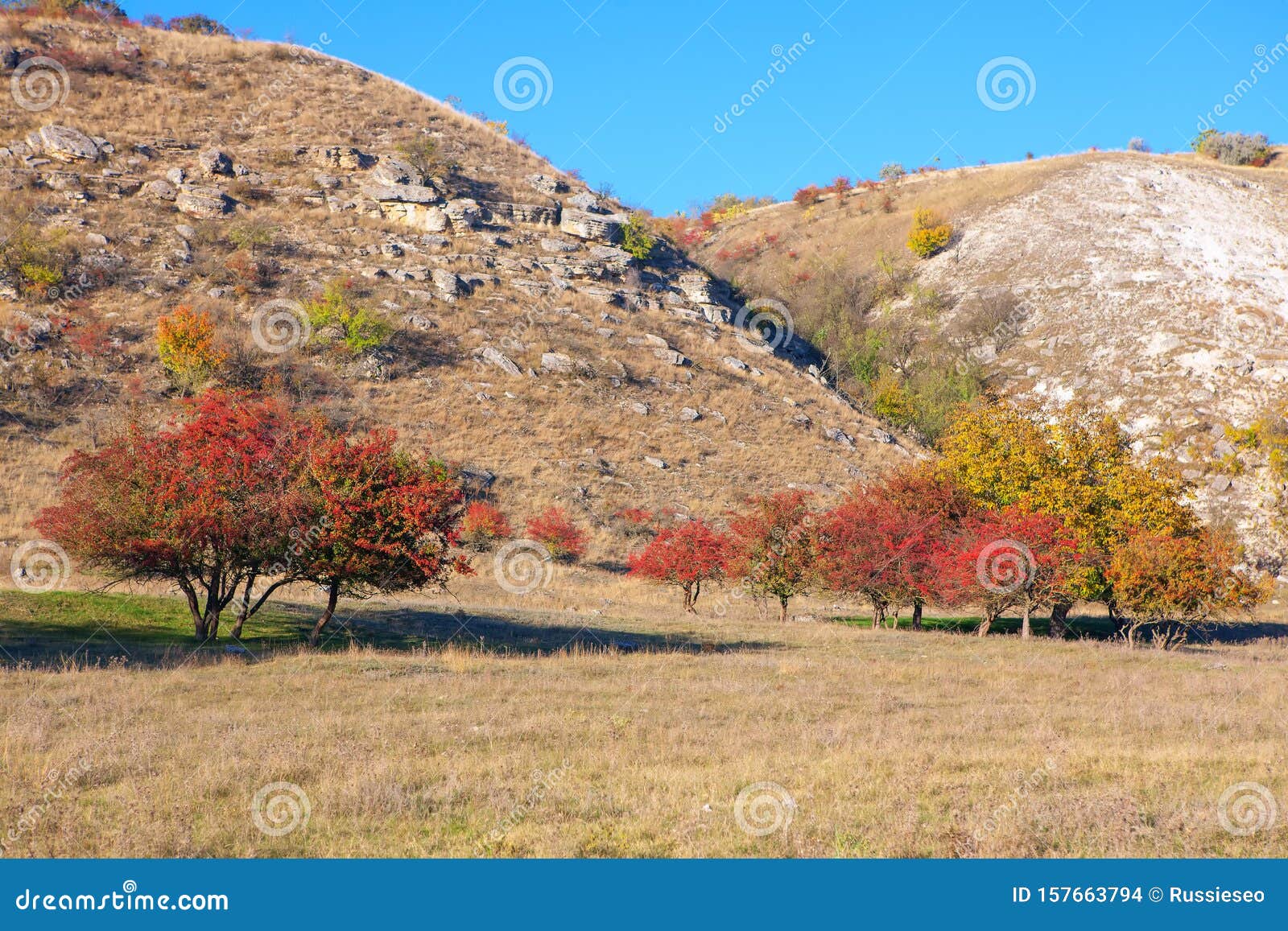 Beautiful fall nature stock photo. Image of beautiful - 157663794