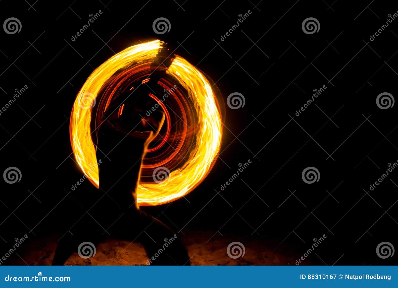 Amazing Fire In The Forest Against A Trees Background. Bonfire In The ...