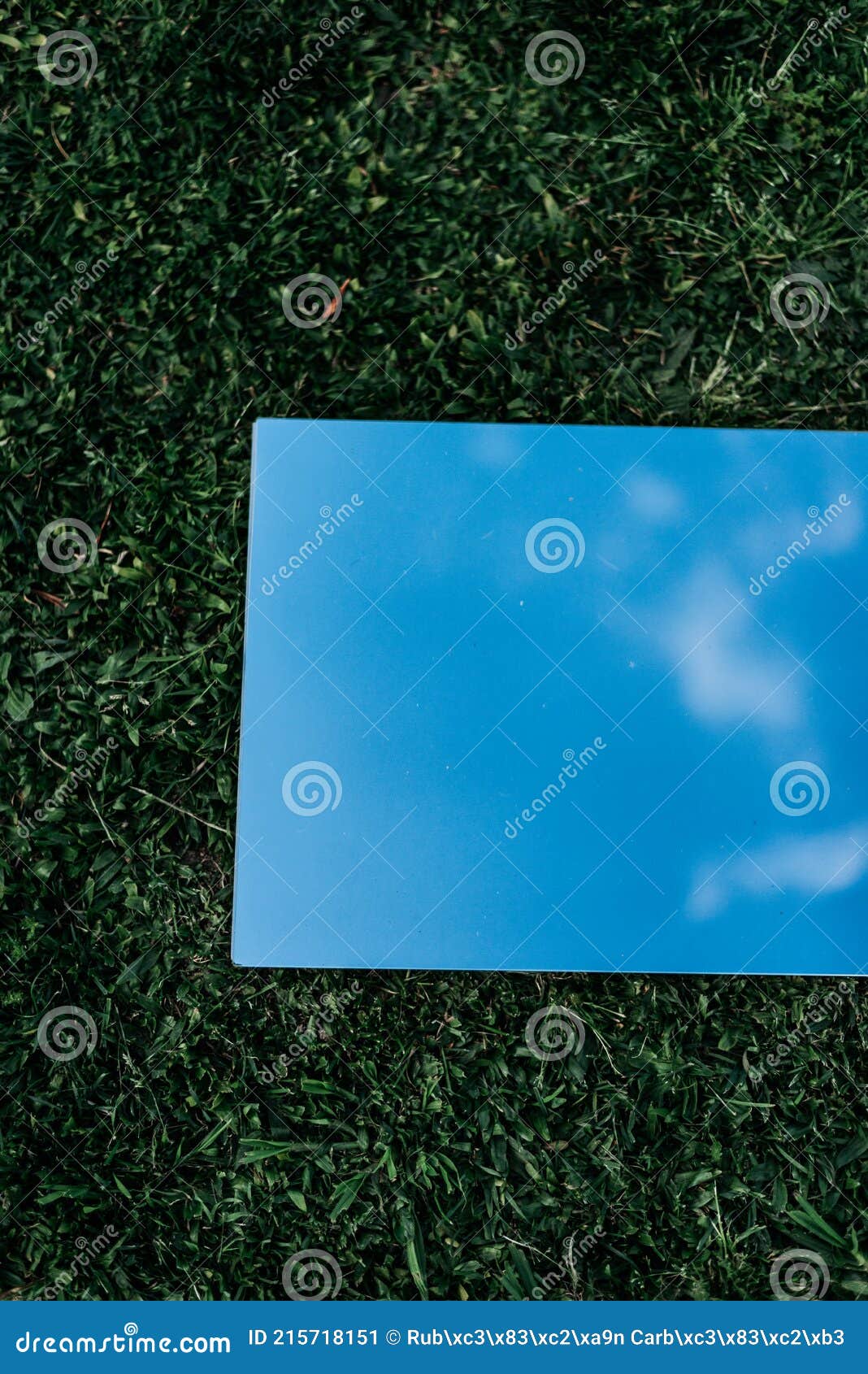 Amazing Flat Lay of a Mirror on the Grass Stock Image - Image of ...