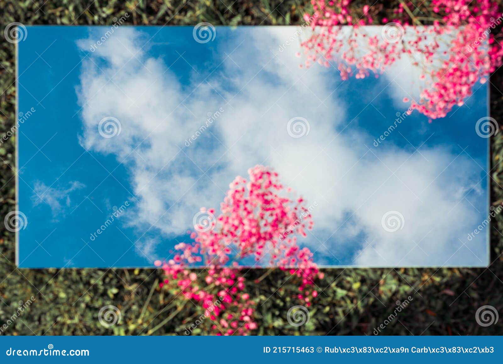 Amazing Flat Lay with the Sky on a Mirror, Pink Flowers and Grass Stock ...