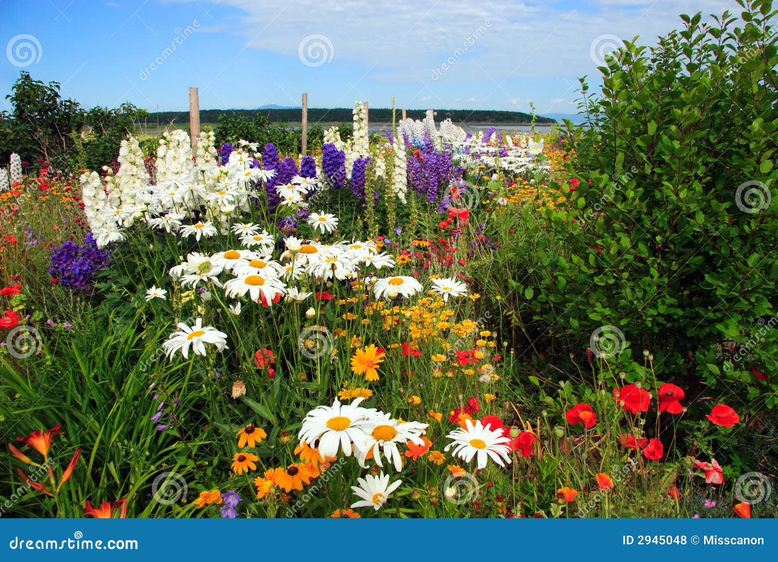 Amazing flower garden stock photo. Image of arrangement - 2945048