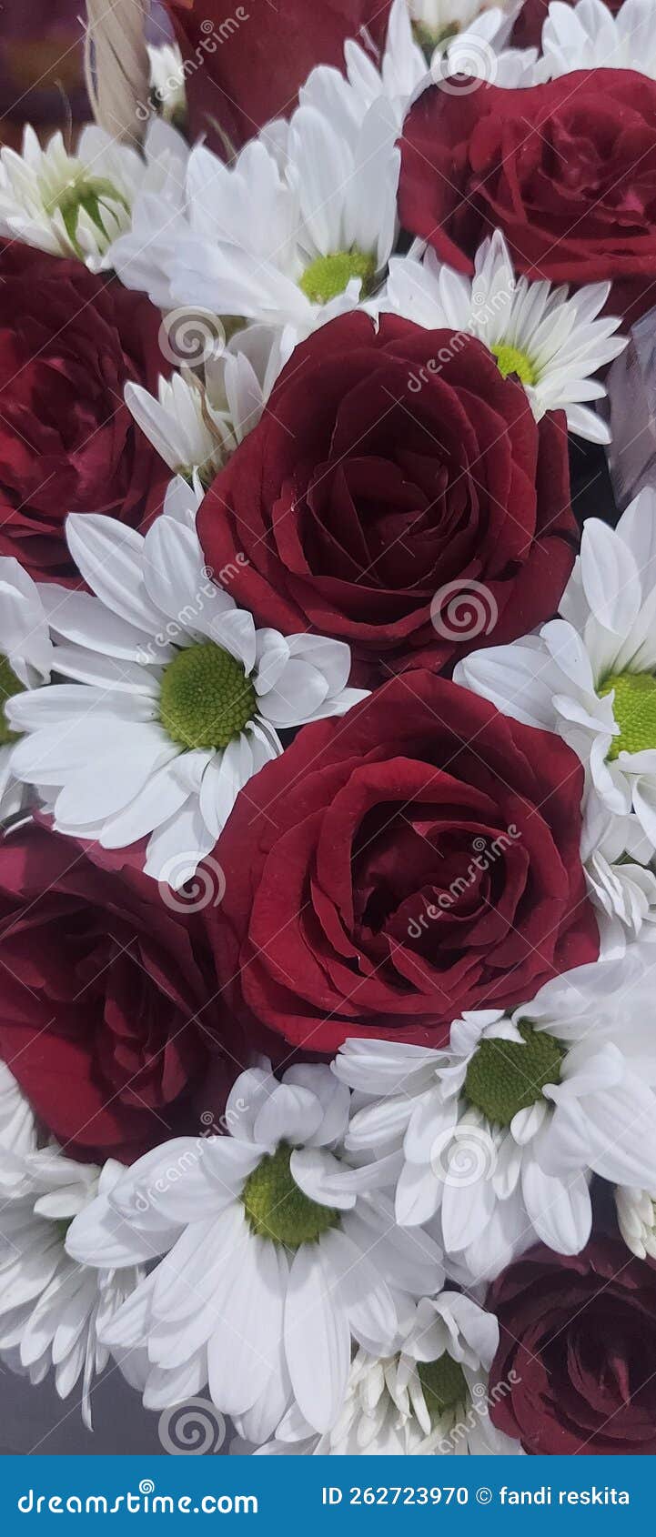 Amazing flowers stock photo. Image of bouquet, flowers - 262723970