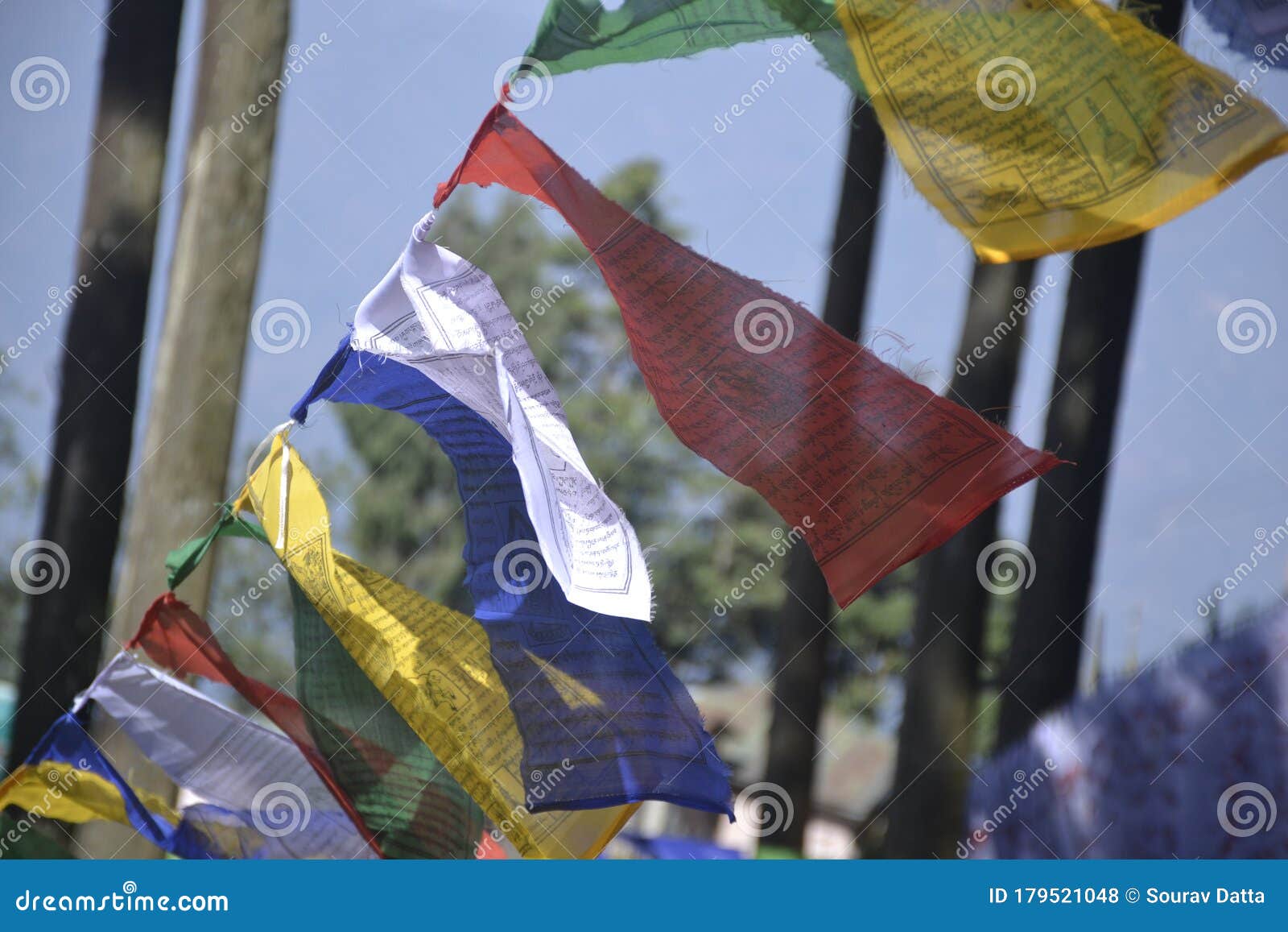 Amazing Forest Flag View of Hill Area Stock Photo - Image of classy ...