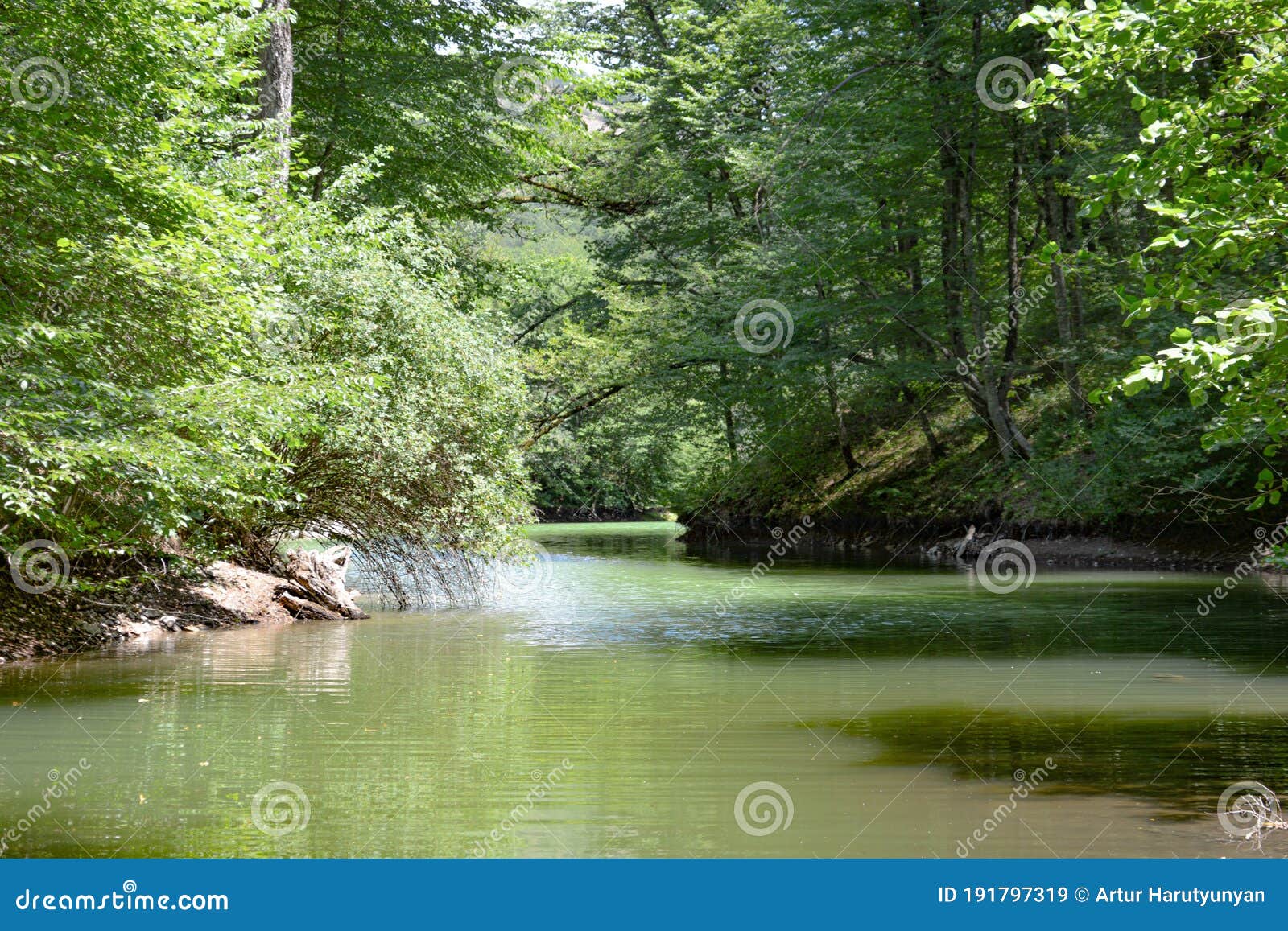 Amazing Forest Landscape with River Stock Image - Image of fall, forest ...