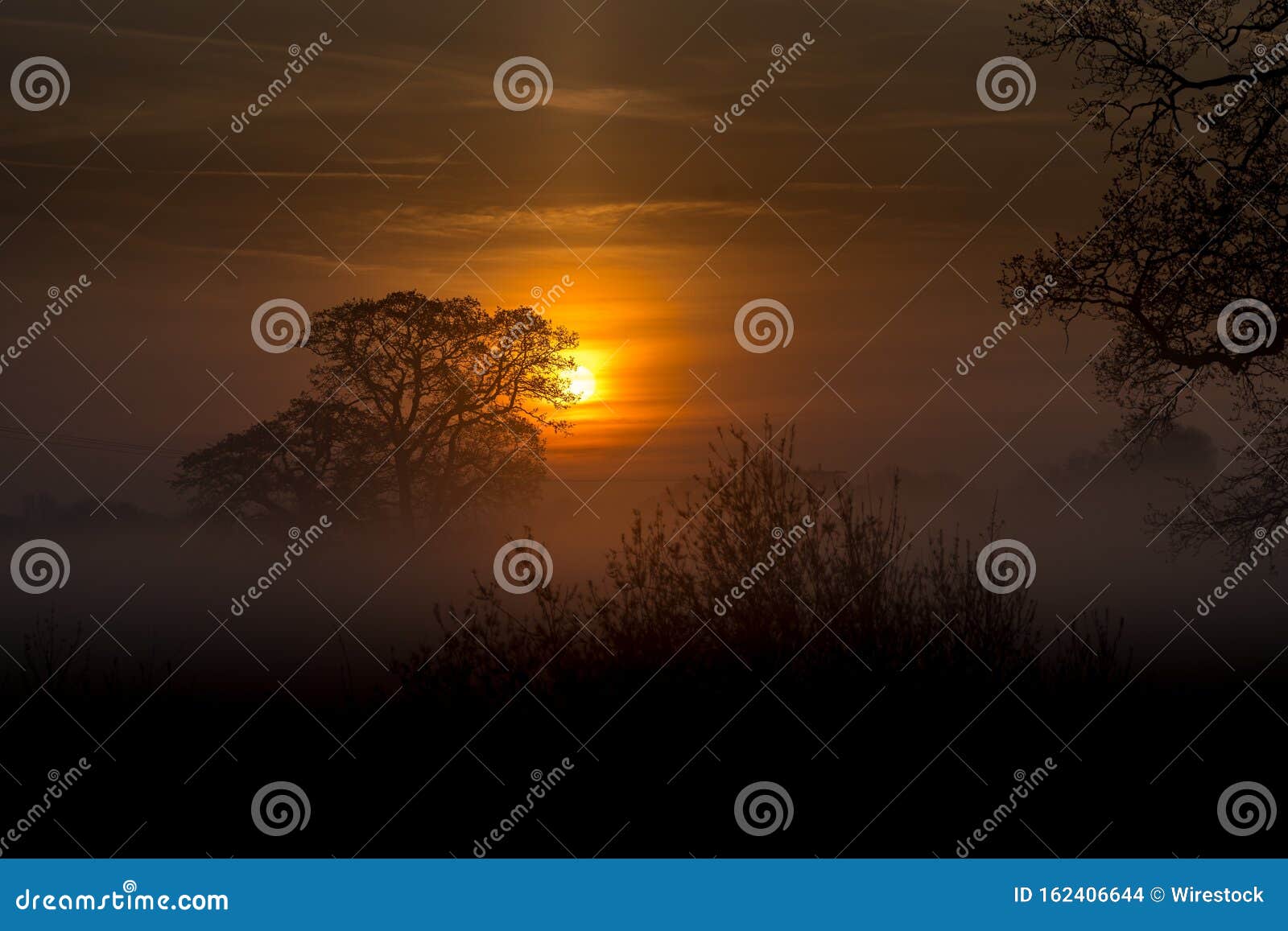 Amazing Forest and the Sunset Stock Photo - Image of autumn, rural ...