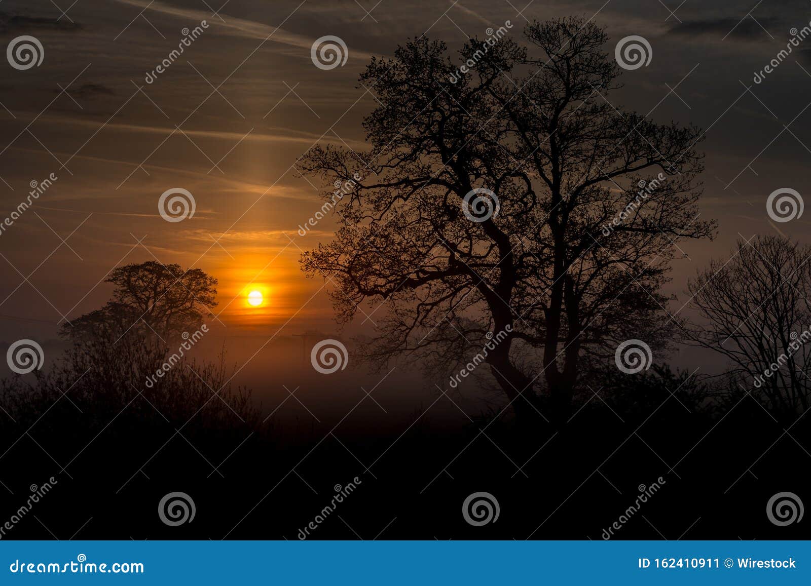 Amazing Forest and the Sunset Stock Image - Image of landscape, cloud ...