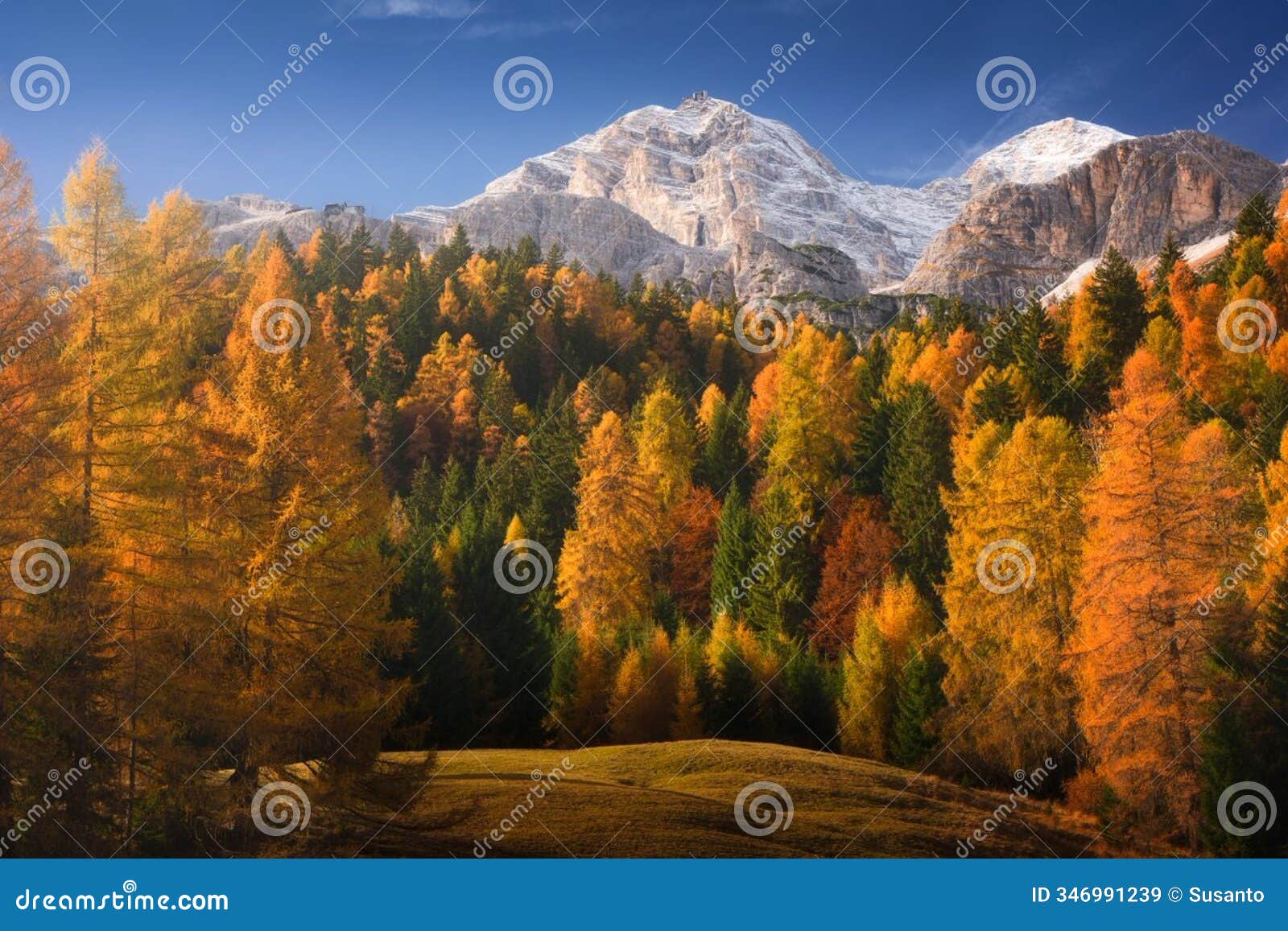 Amazing Forest Under Mountain Stock Image - Image of woodland, hill ...