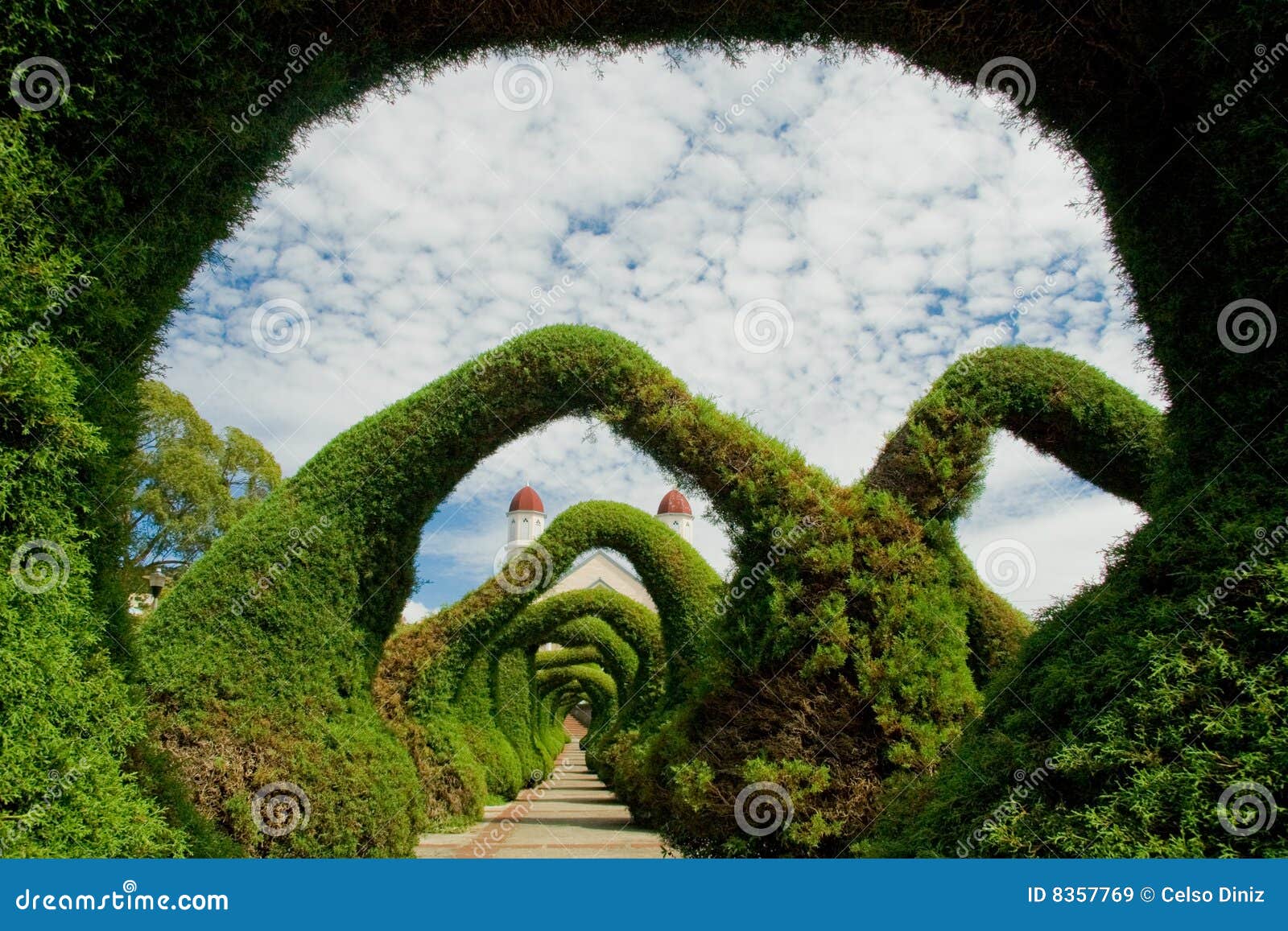 Bush Sculptures and Shapes stock image. Image of green - 8357769