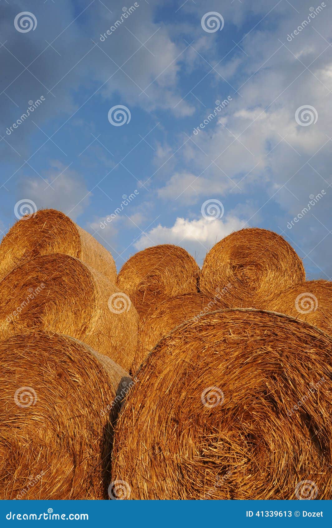 Amazing Golden Hay Bales stock image. Image of autumn - 41339613