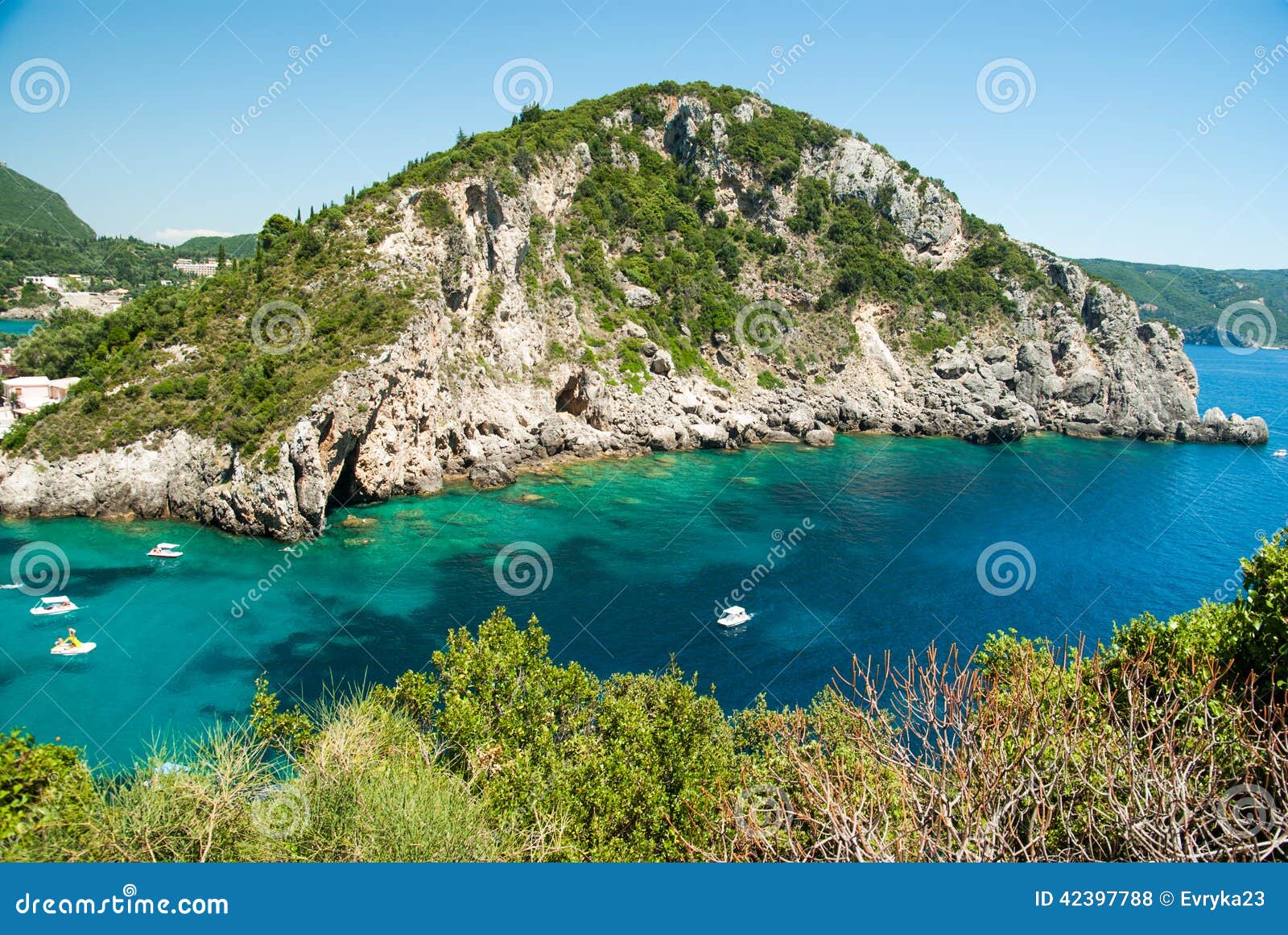 Amazing And Big Green Or Loggerhead Rare Sea Turtle Swimming In The ...