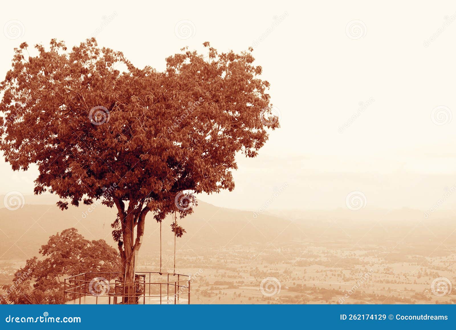 Heart Shaped Tree on Cloudy Sky in Sepia Tone Stock Image - Image of ...