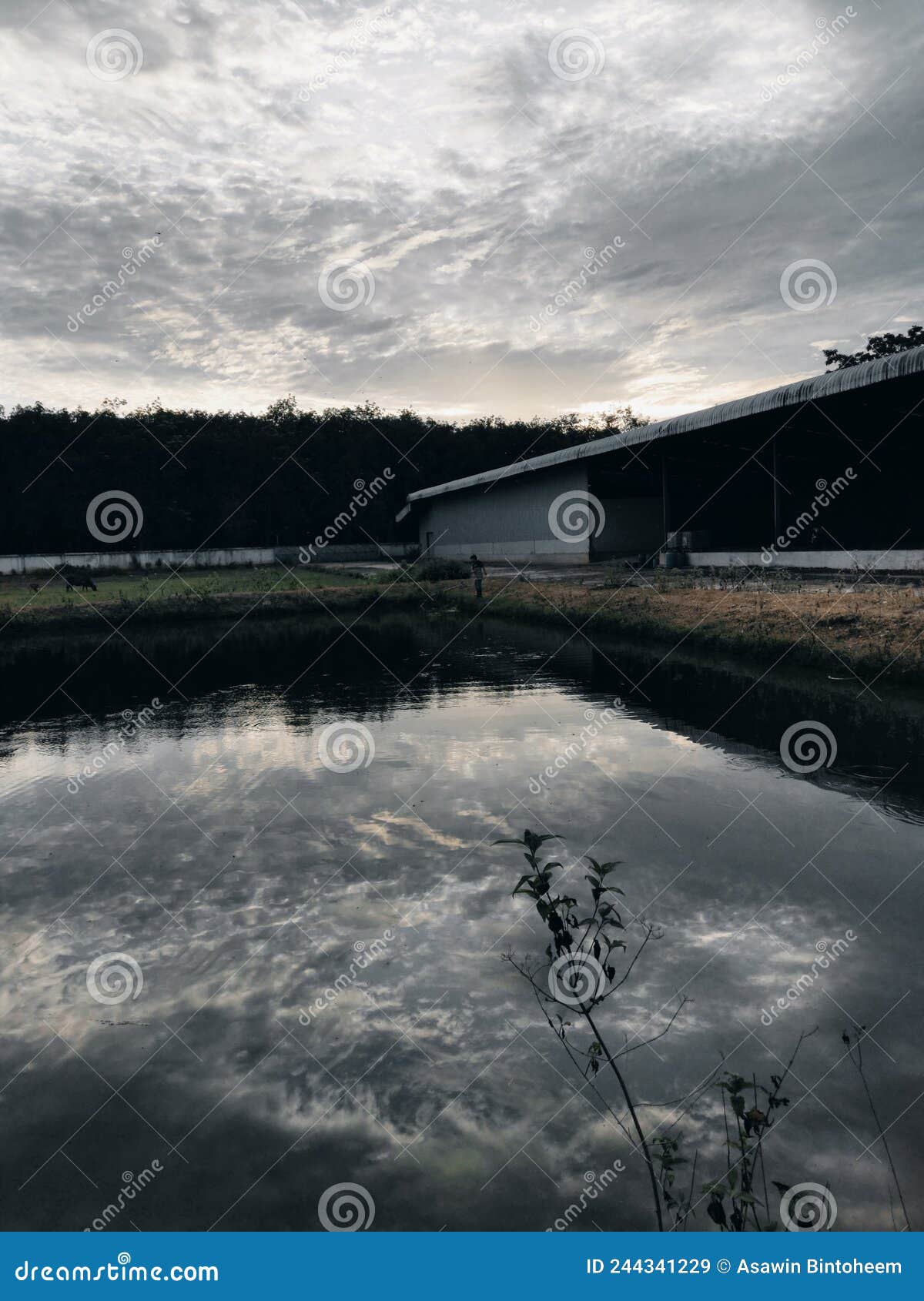 Amazing lake shadow stock image. Image of waterfall - 244341229