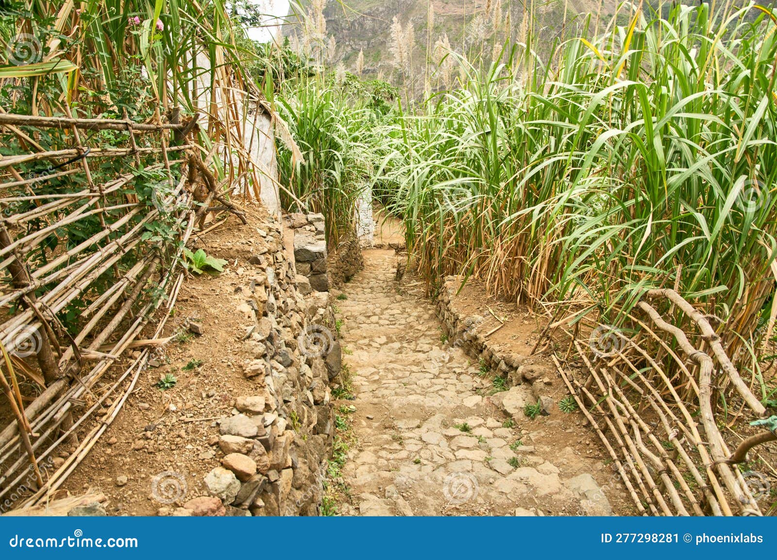Landscape of Brava Island in the Archipelago of Cabo Verde Stock Image ...