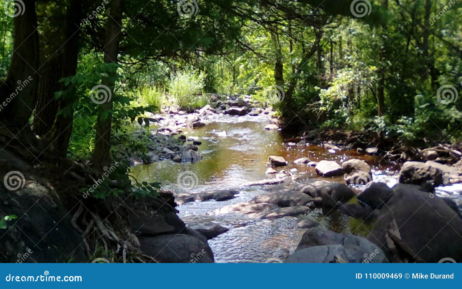 Stream with magical look stock image. Image of looking - 110009469