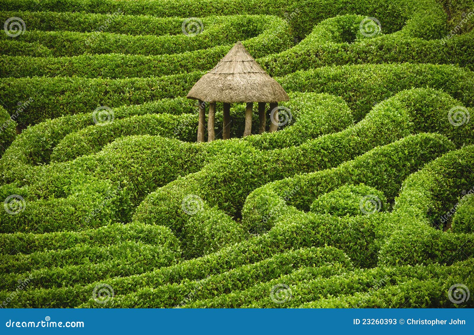 Amazing maze stock image. Image of plant, explore, bush - 23260393