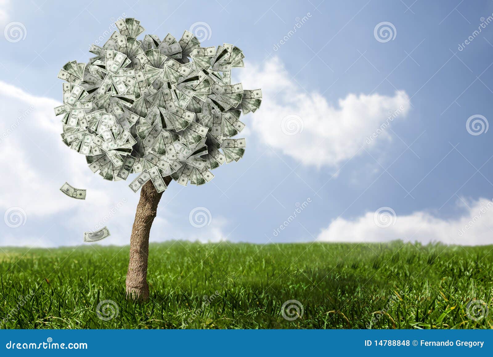 Amazing Money Tree on Grass with Falling Leaves Stock Photo - Image of ...