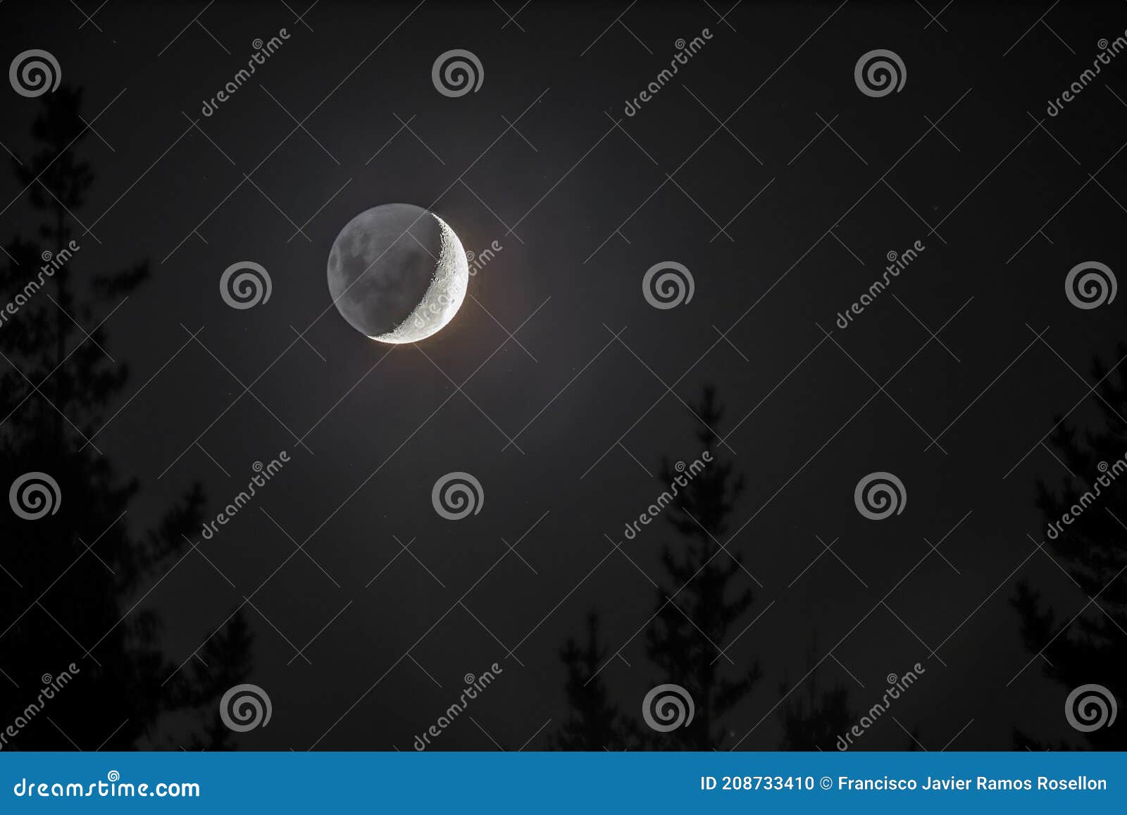 An Amazing Moon View in Front of the Trees of the Forest Generating a ...