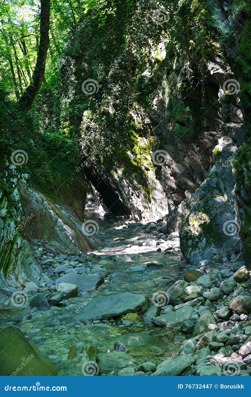 Amazing Mountain Ravine with a Creek in Southern Forest Stock Image ...