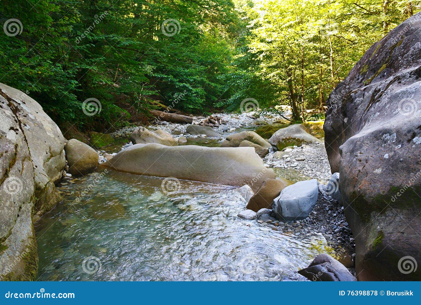 Amazing Mountain Small River among Southern Forests Stock Photo - Image ...