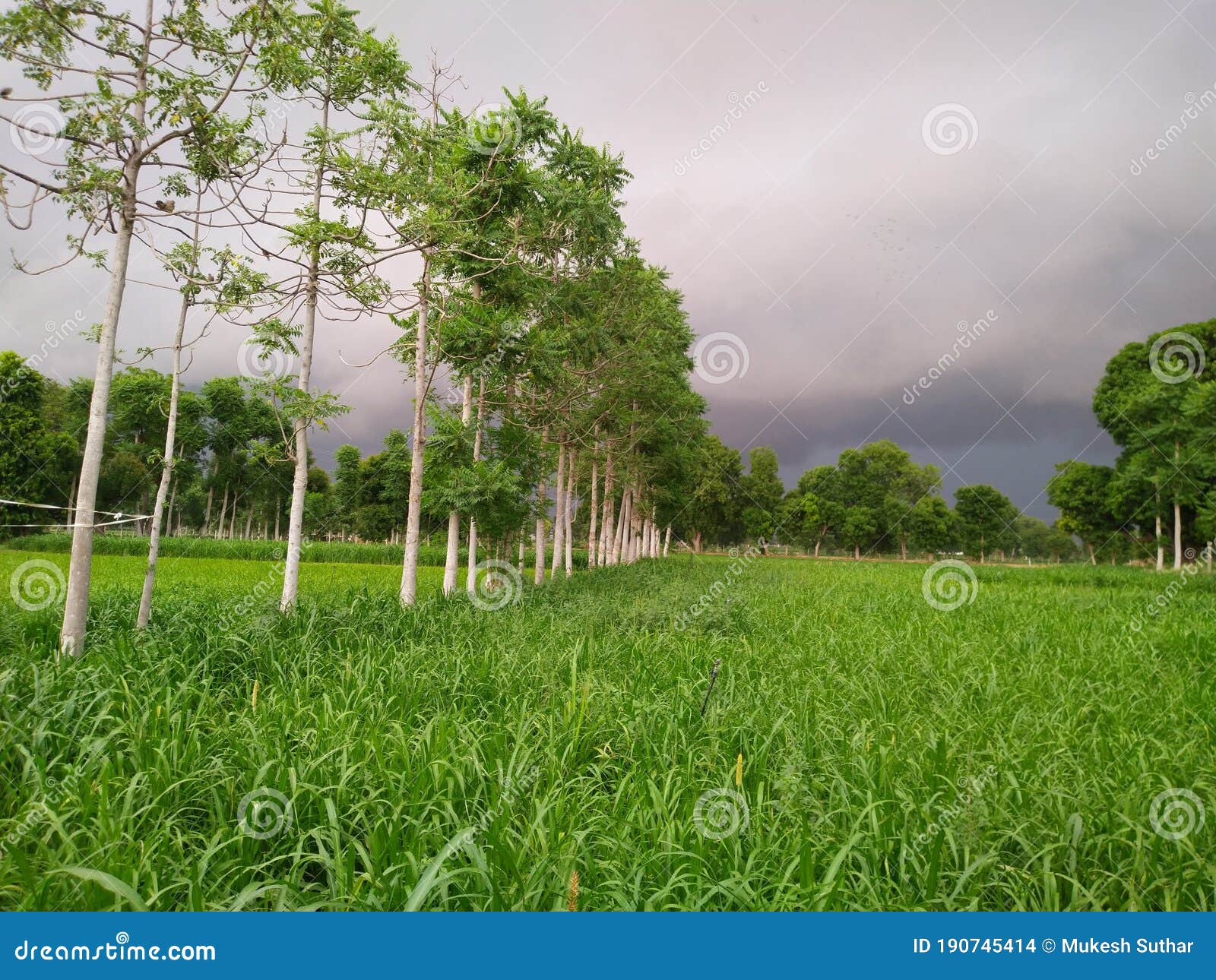 Amazing Natural Beauty Monsoon Image Stock Photo - Image of monsoon ...