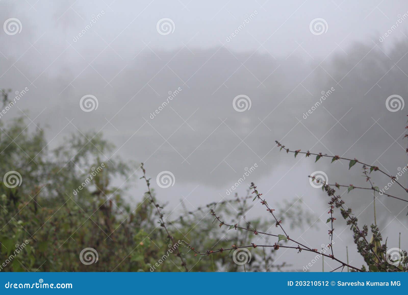 Amazing Nature with Fog All Around Stock Photo - Image of morning, wind ...