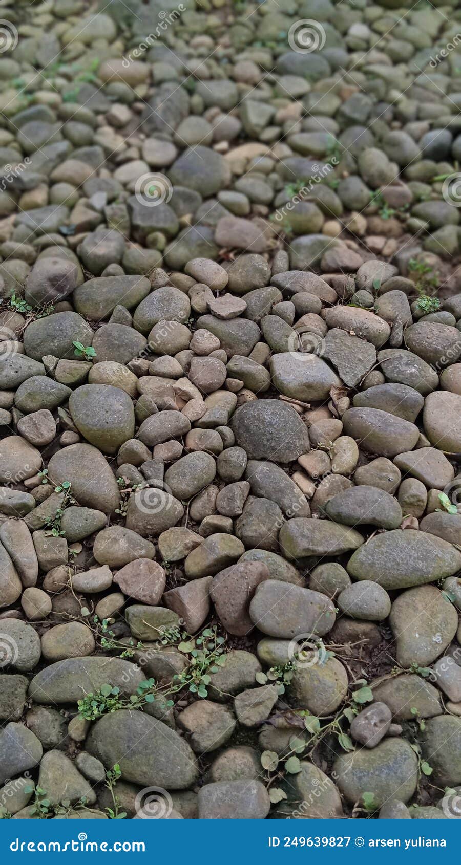 Amazing path of rocks stock image. Image of amazing - 249639827