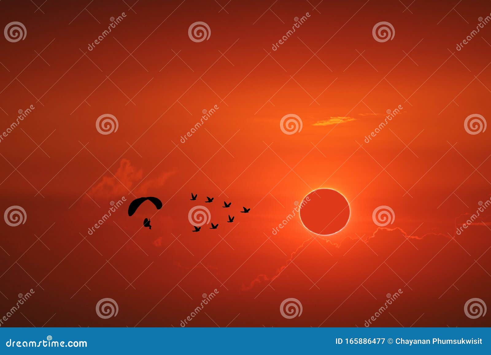 Amazing Phenomenon Of Total Sun Eclipse Over Silhouette Birds Flying On ...