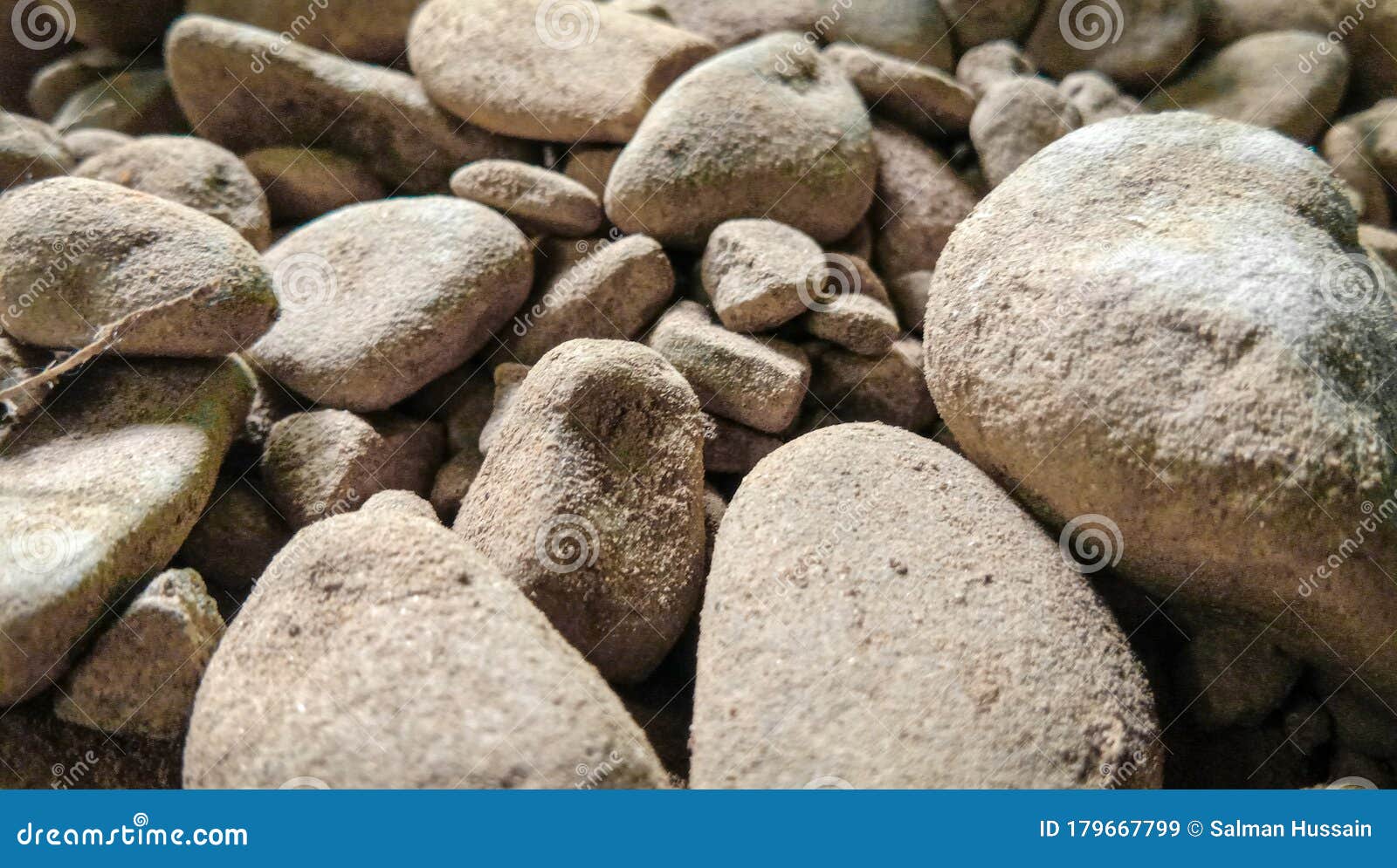 Amazing Photography of Stone Particles Stock Image - Image of wood ...