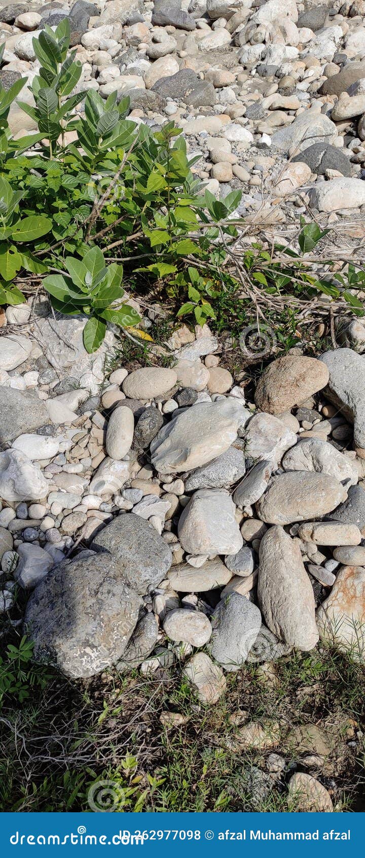 Amazing pile of rocks stock photo. Image of geology - 262977098