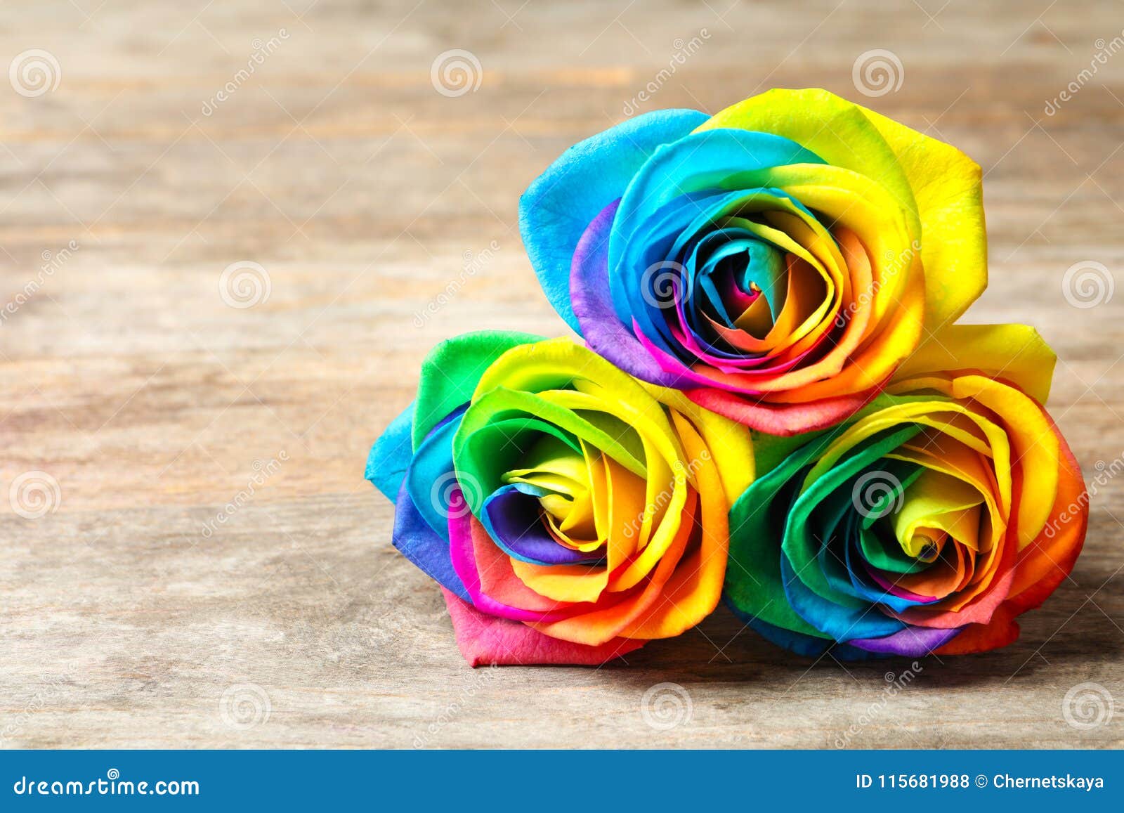Amazing Rainbow Rose Flowers Stock Photo - Image of natural, green ...