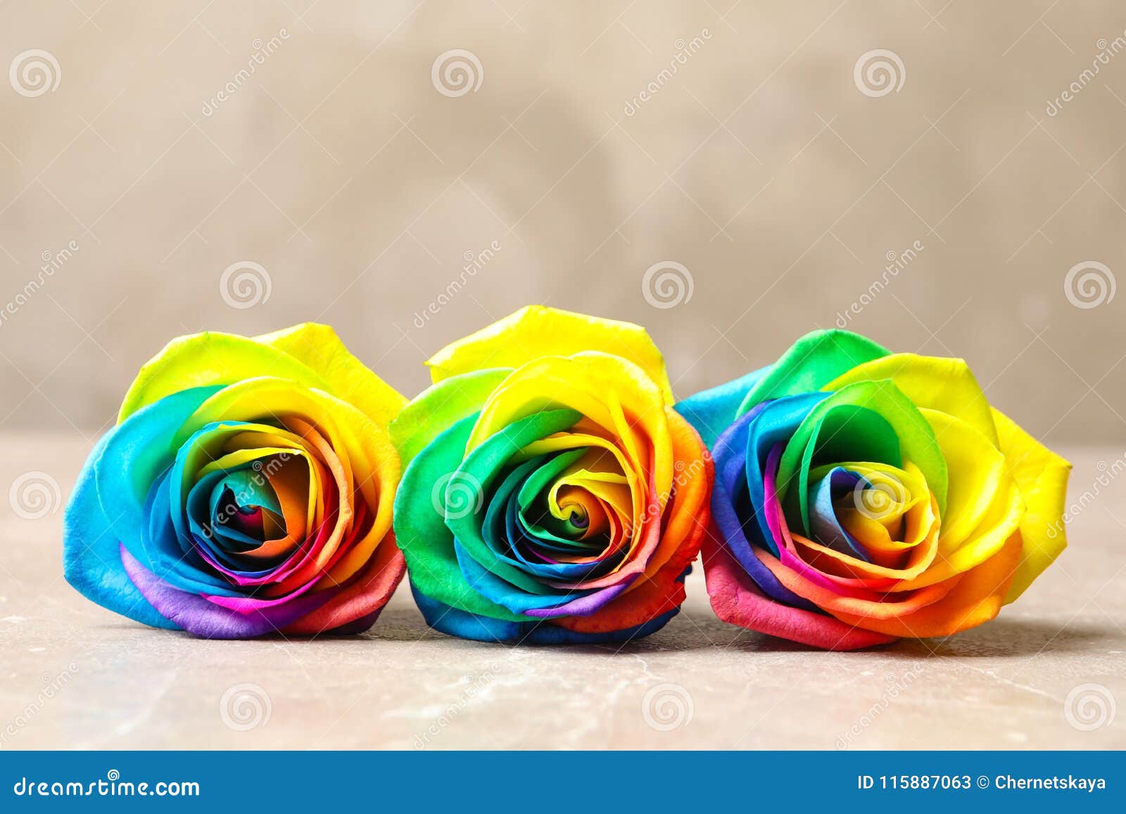 Amazing Rainbow Rose Flowers Stock Image - Image of love, closeup ...
