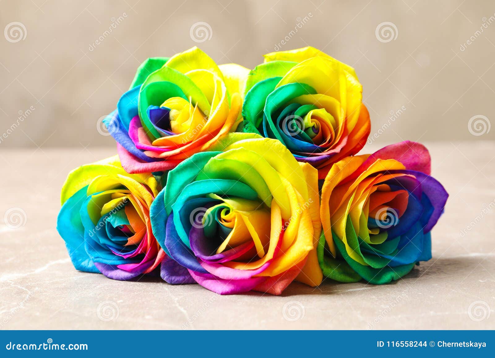 Amazing Rainbow Rose Flowers Stock Photo - Image of color, event: 116558244