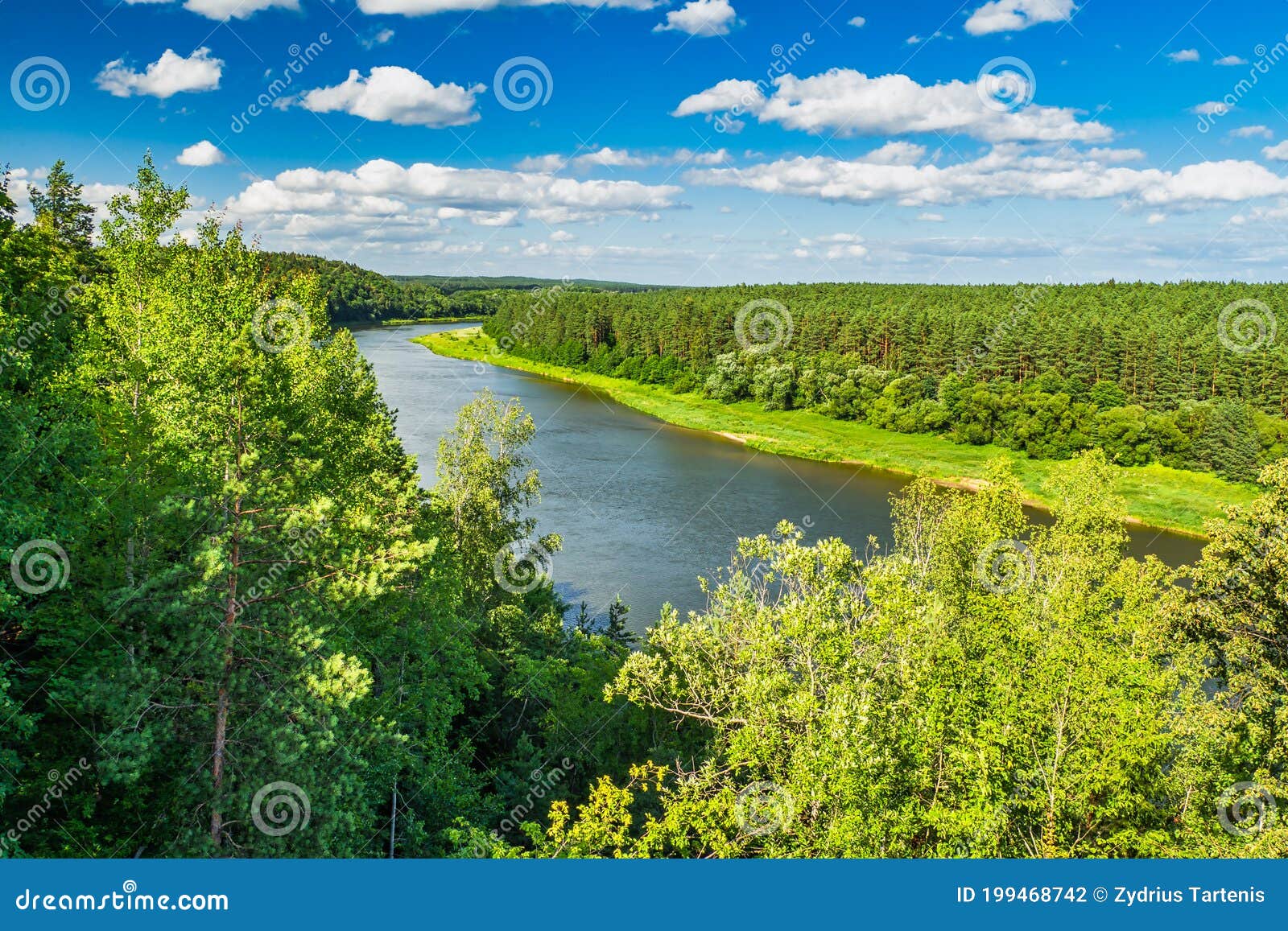 Amazing River and Forest Landscape. Forest with Beautiful Sunlight ...