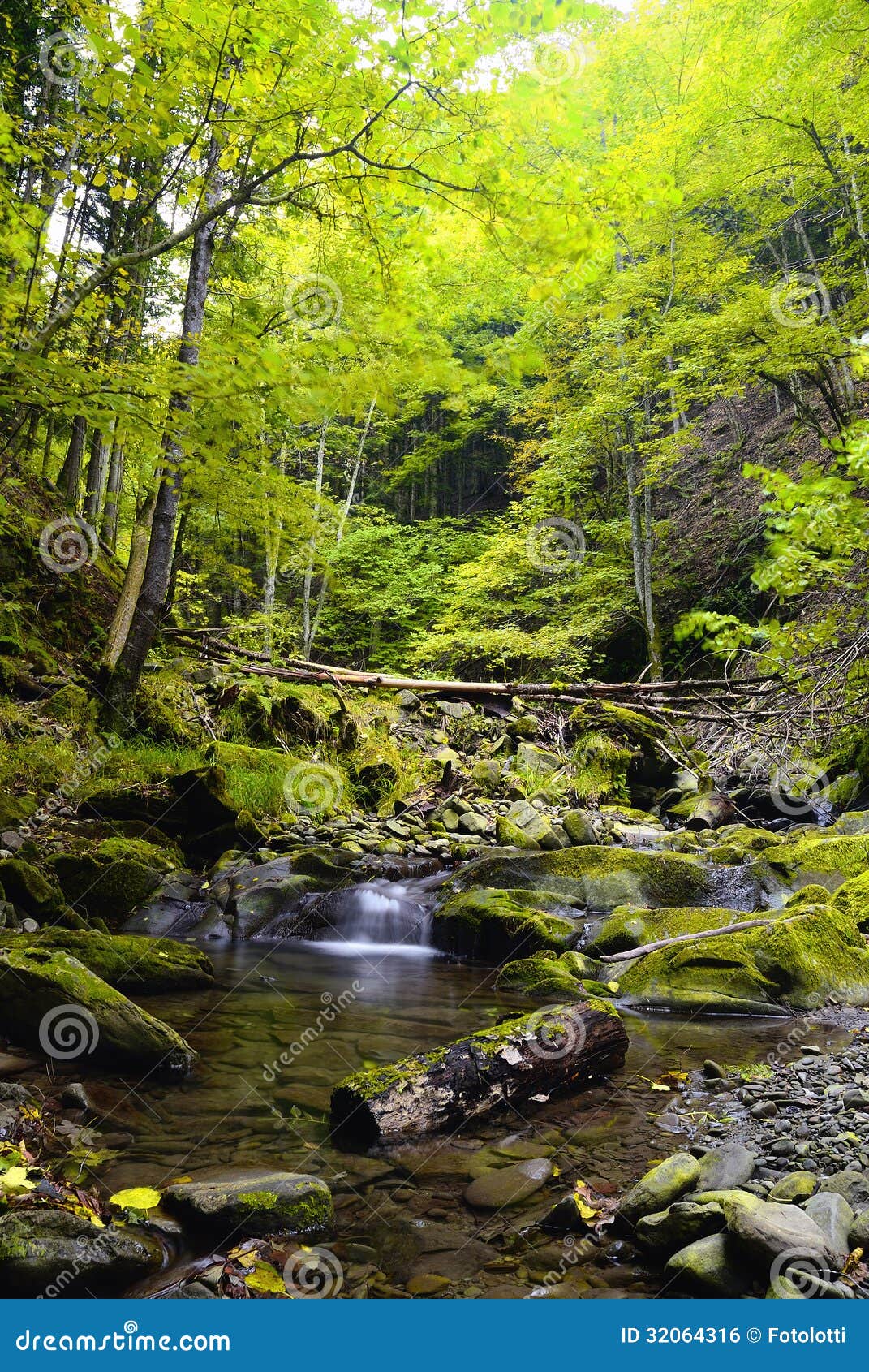 Amazing river stock photo. Image of river, environment - 32064316