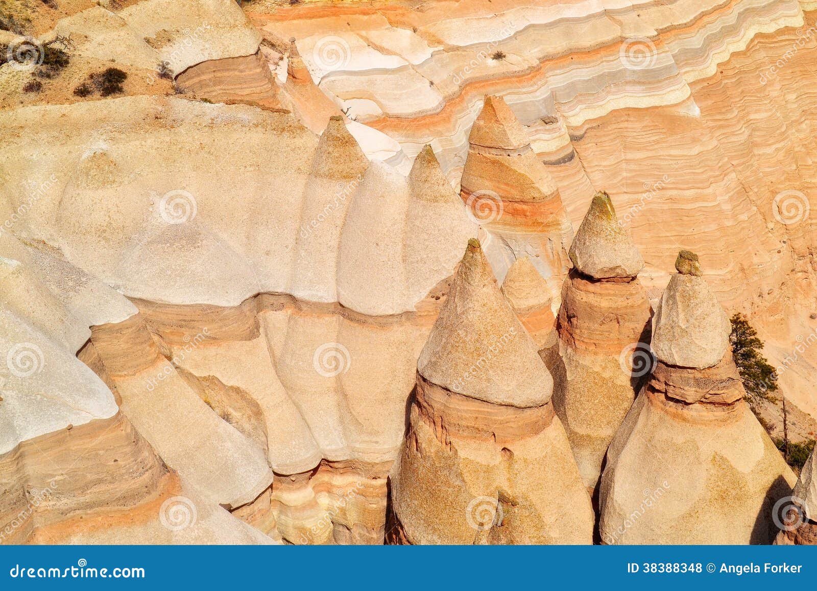 Amazing Rock Formations Andjoshua Trees At Sunny Joshua Tree National ...